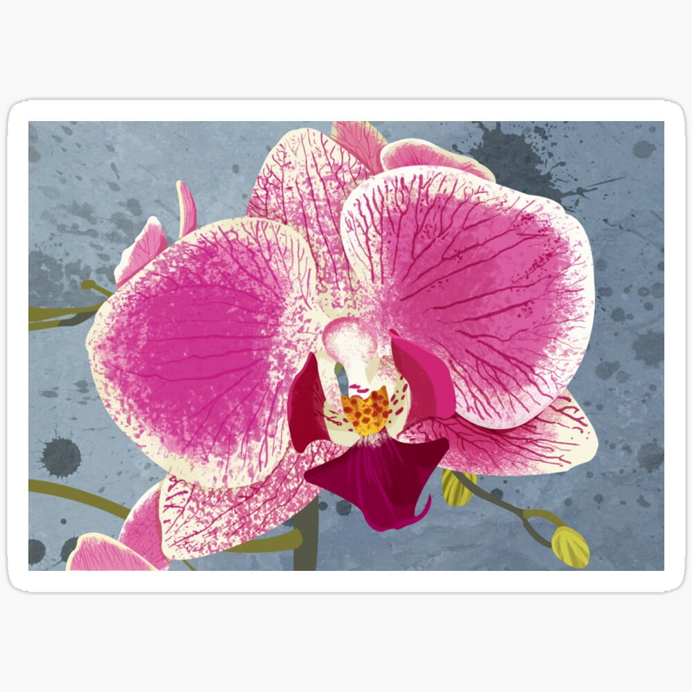 Orchids Sticker Phone Decal Water Bottle Stickers Car Decals, Laptop ...
