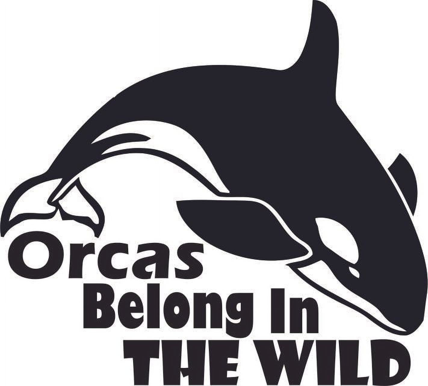 Orcinus Orca Belong To The Wild Customized Wall Decal - Custom Vinyl ...