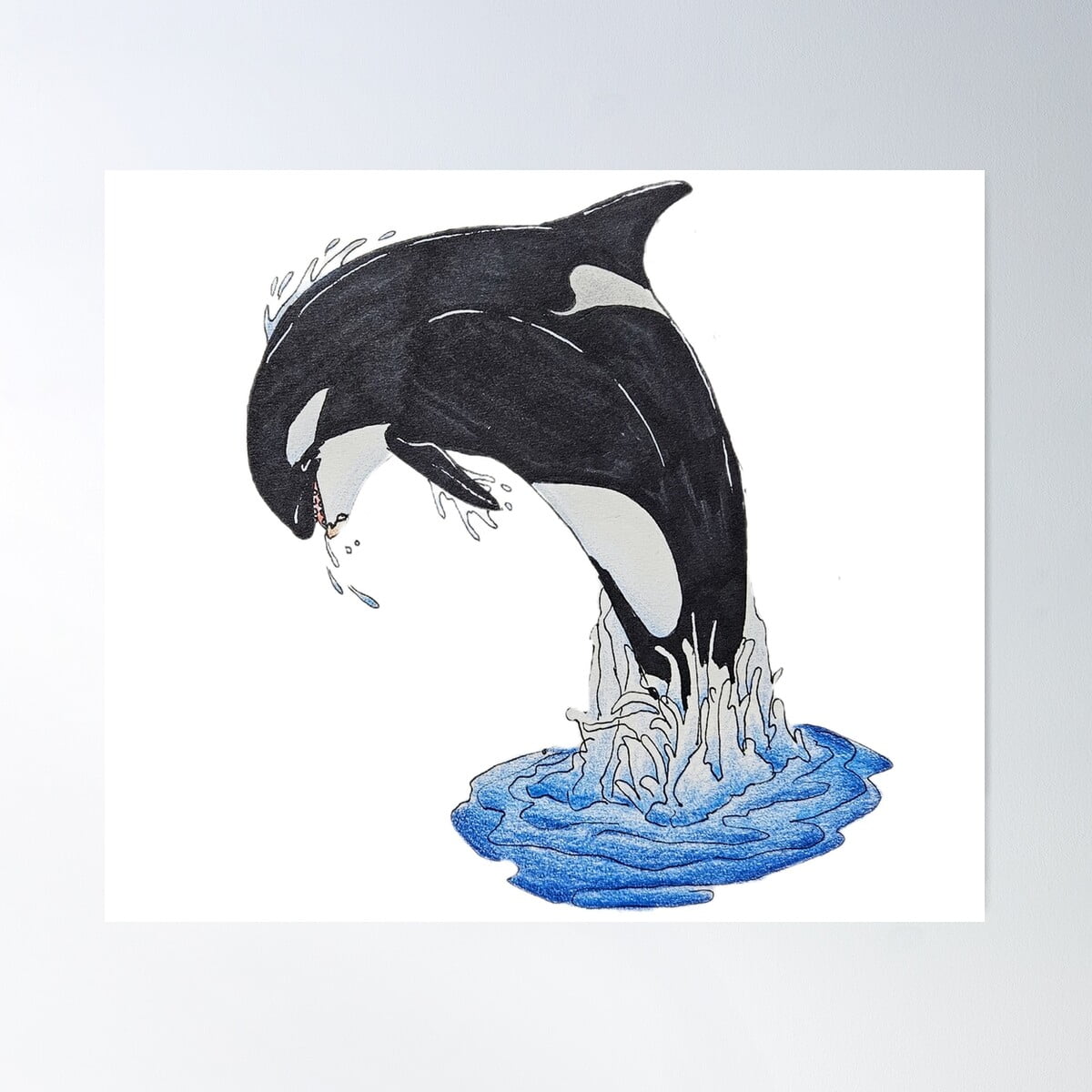 Orcinus Orca Breach Poster Wall Art, Modern Wall Decor For Living Room ...