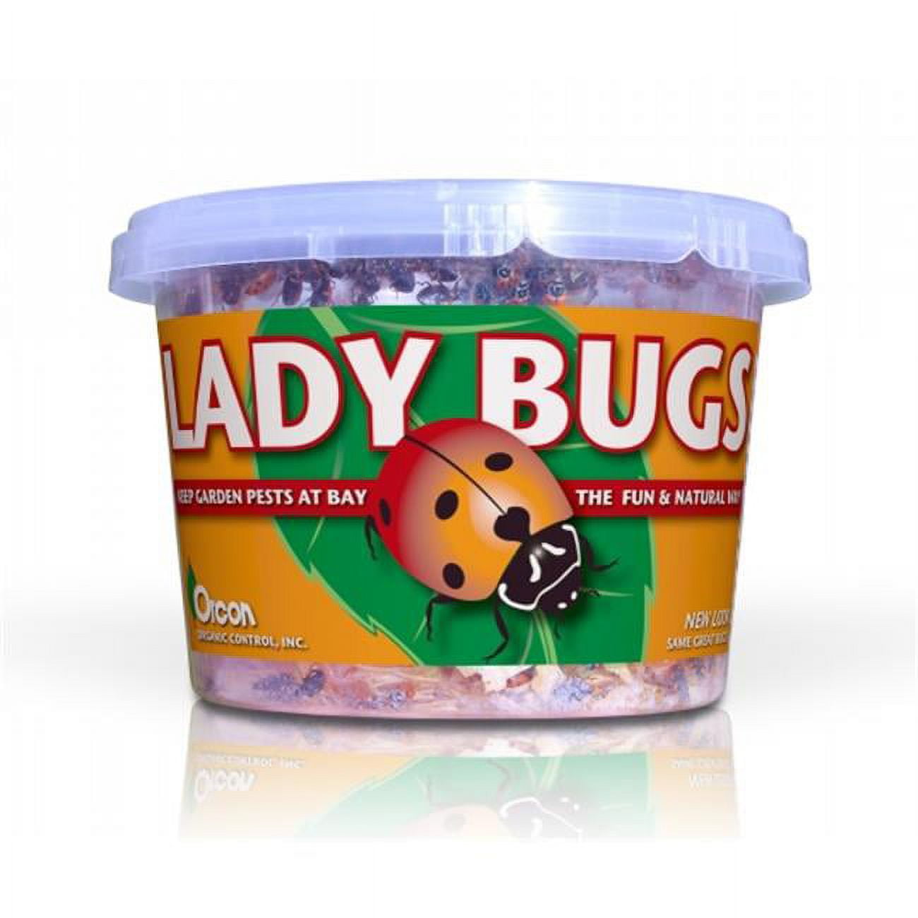 Orcon Live Ladybugs Insect and Pest Repellent, 500 Count, 20 Pack ...