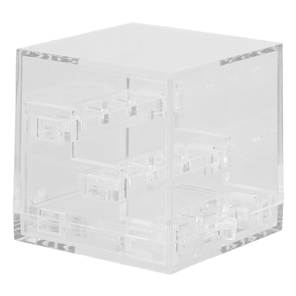Phenofice Transparent Acrylic Organizer Box for Stone Collection ...