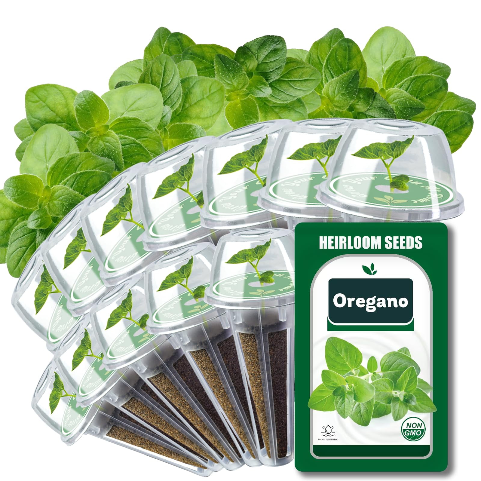Oregano Seed PodsEGSC for All Hydroponics Growing Systems, 12 Pods Herb ...