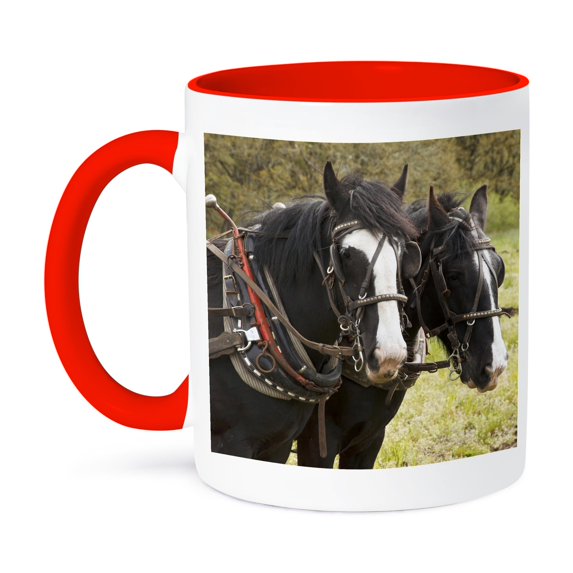 Oregon, Champoeg State Park, Shire Horse Team - Us38 Rbr0239 - Rick A ...