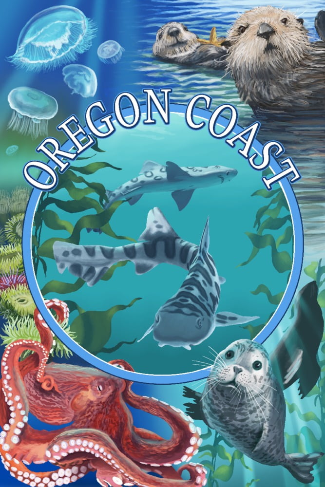 Oregon Coast, Sealife Animals (16x24 Giclee Gallery Art Print, Vivid ...