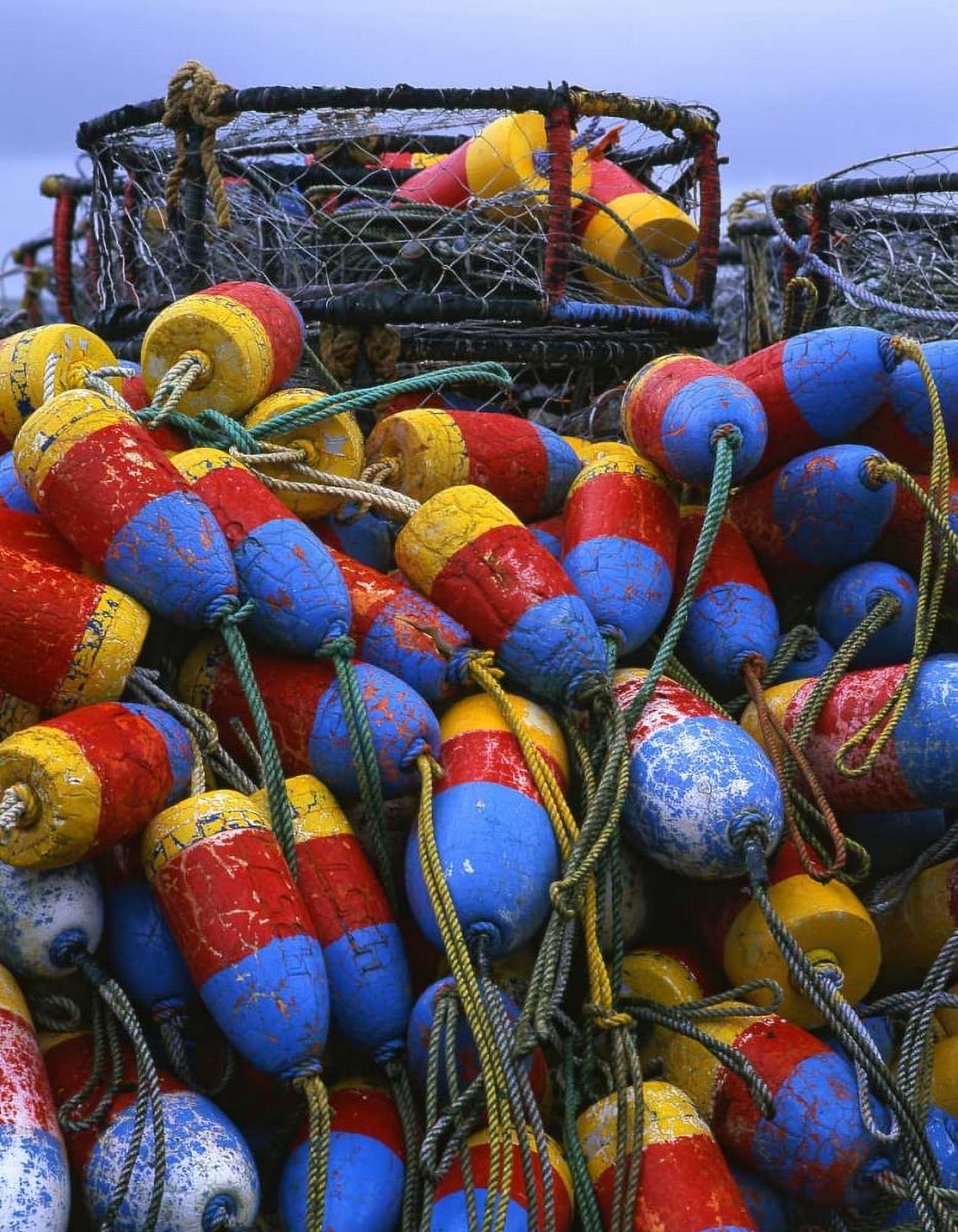 Oregon, Newport Crab rings and floats on dock by Steve Terrill (24 x 36 ...