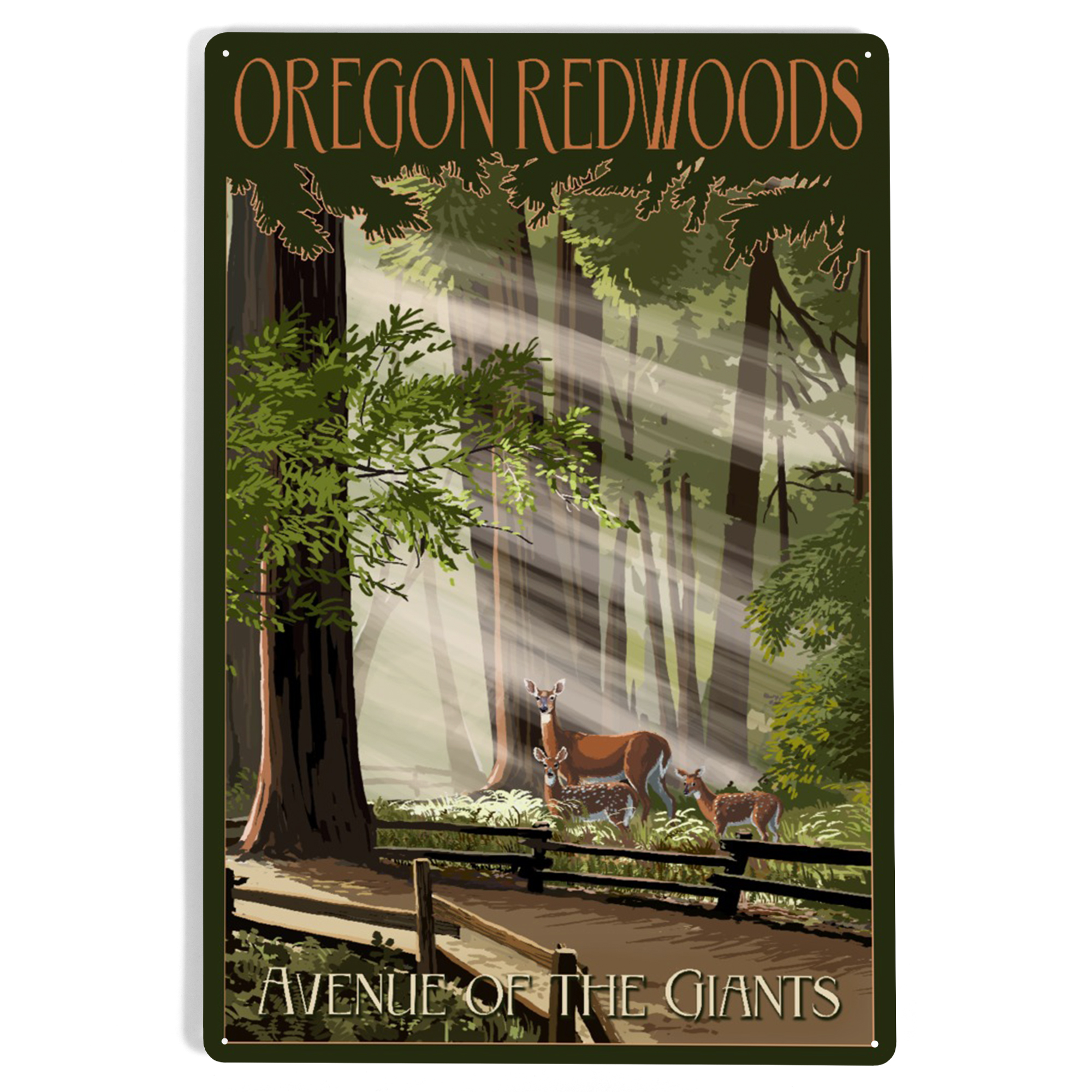 Oregon Redwoods, Avenue of the Giants, Deer and Fawns (12x18 Aluminum ...