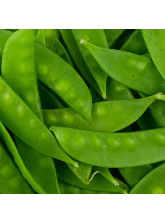 Pea Seeds in Seed Gardening - Walmart.com