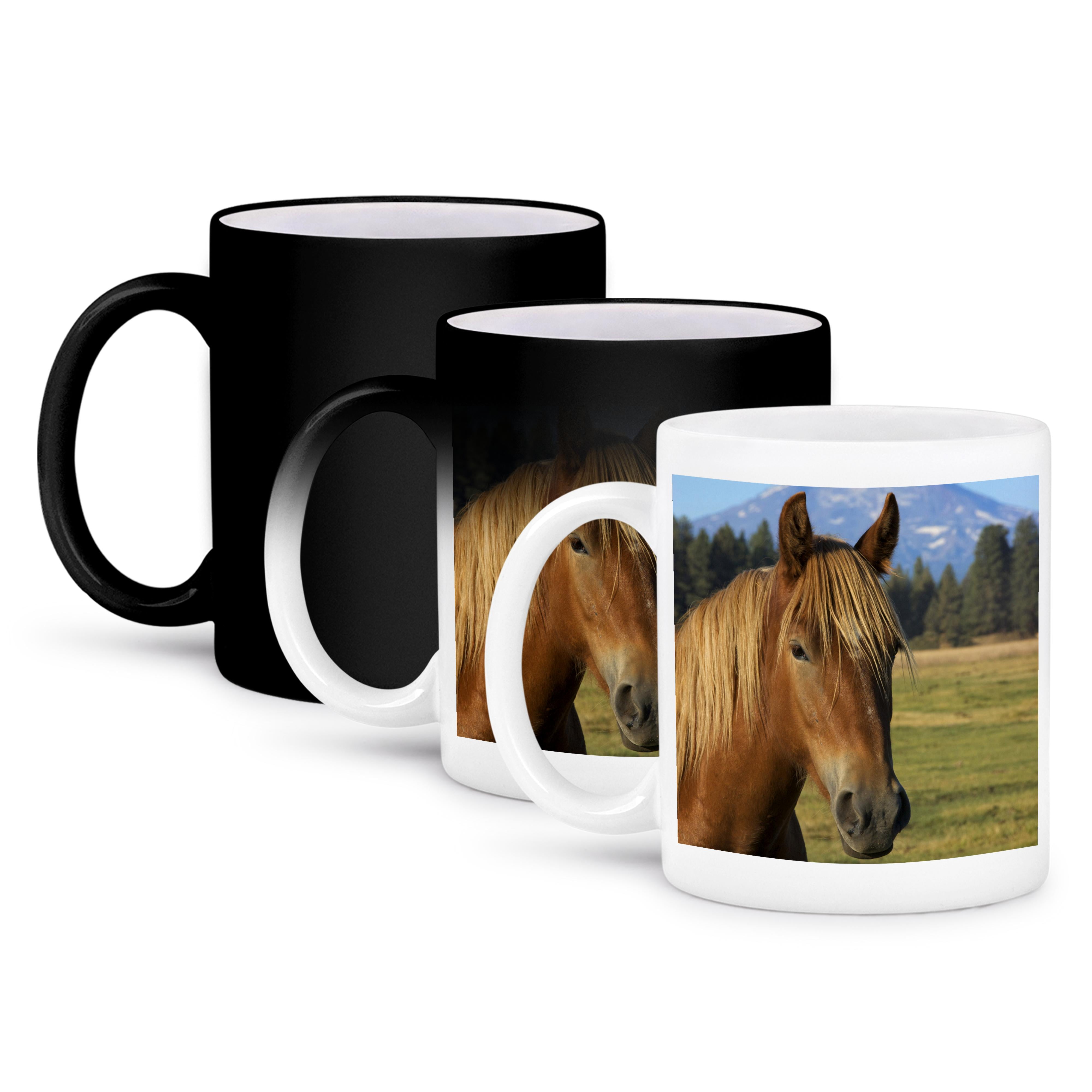 Oregon, Three Sisters, Cascade Range, Horse - Us38 Len0017 - Lisa S ...