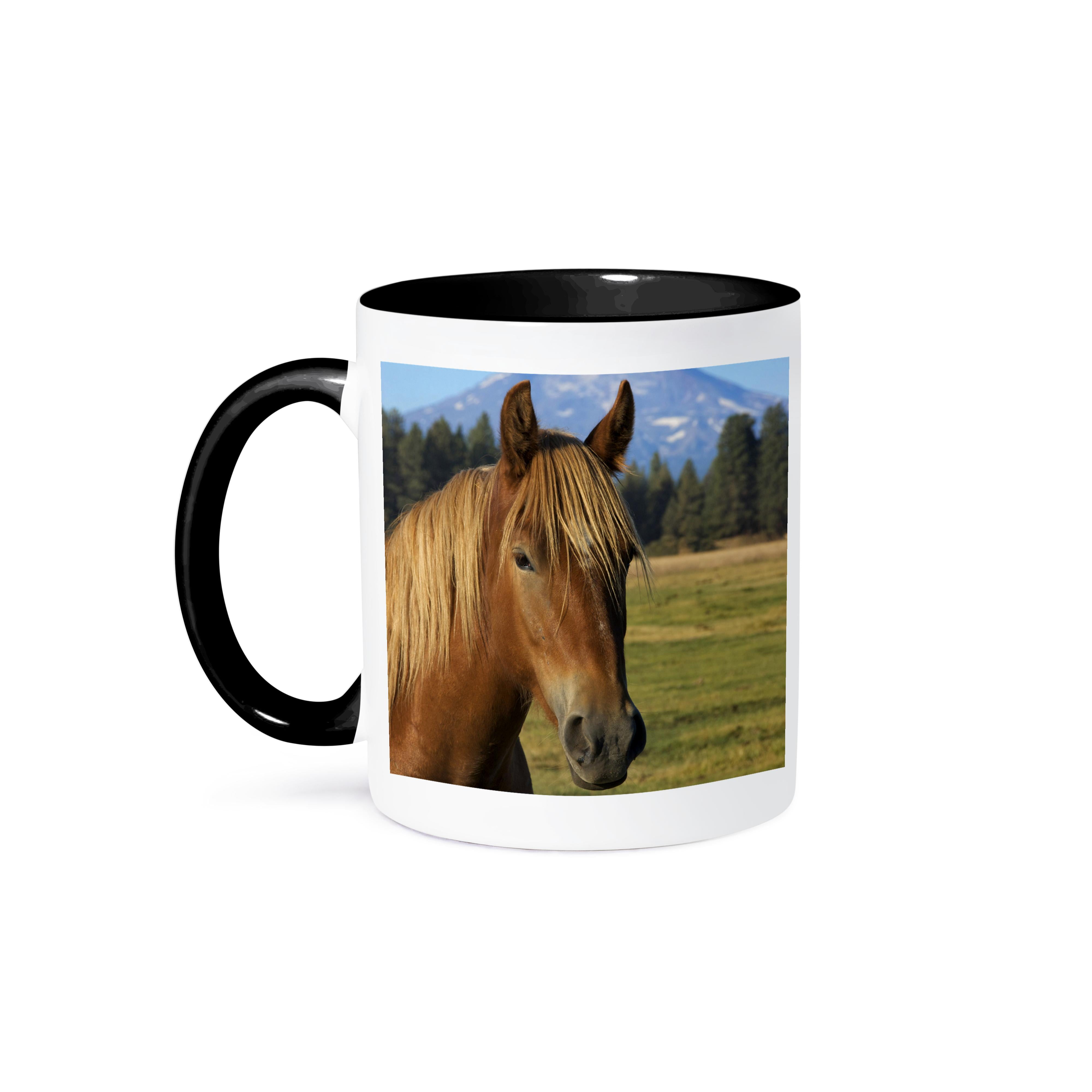 Oregon, Three Sisters, Cascade Range, Horse - Us38 Len0017 - Lisa S ...