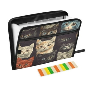 File Folders Multiple Sections