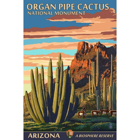 Art.com Organ Pipe Cactus National Monument, Arizona Art Print by ...