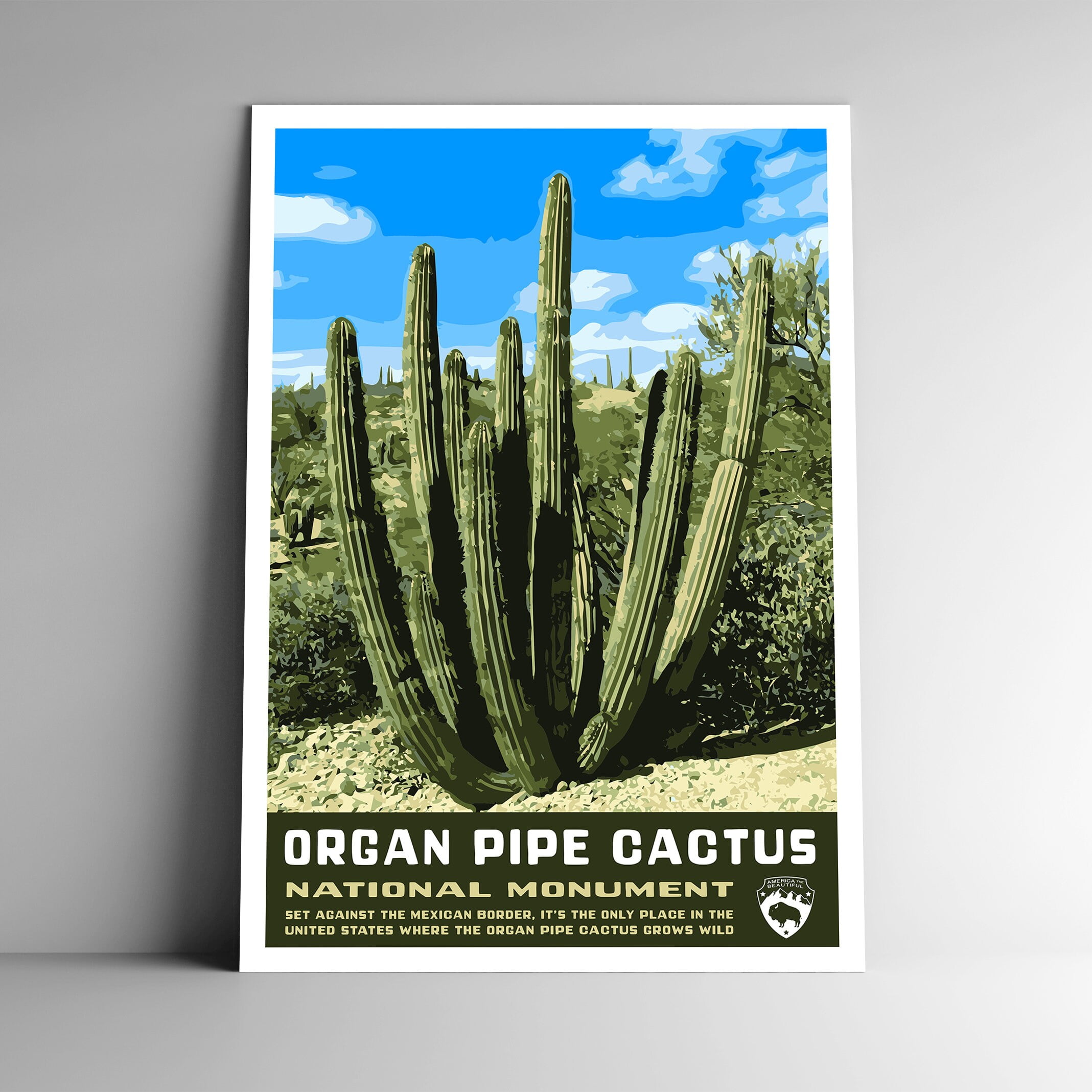 Organ Pipe Cactus National Monuments Vintage Travel Poster / Postcard ...