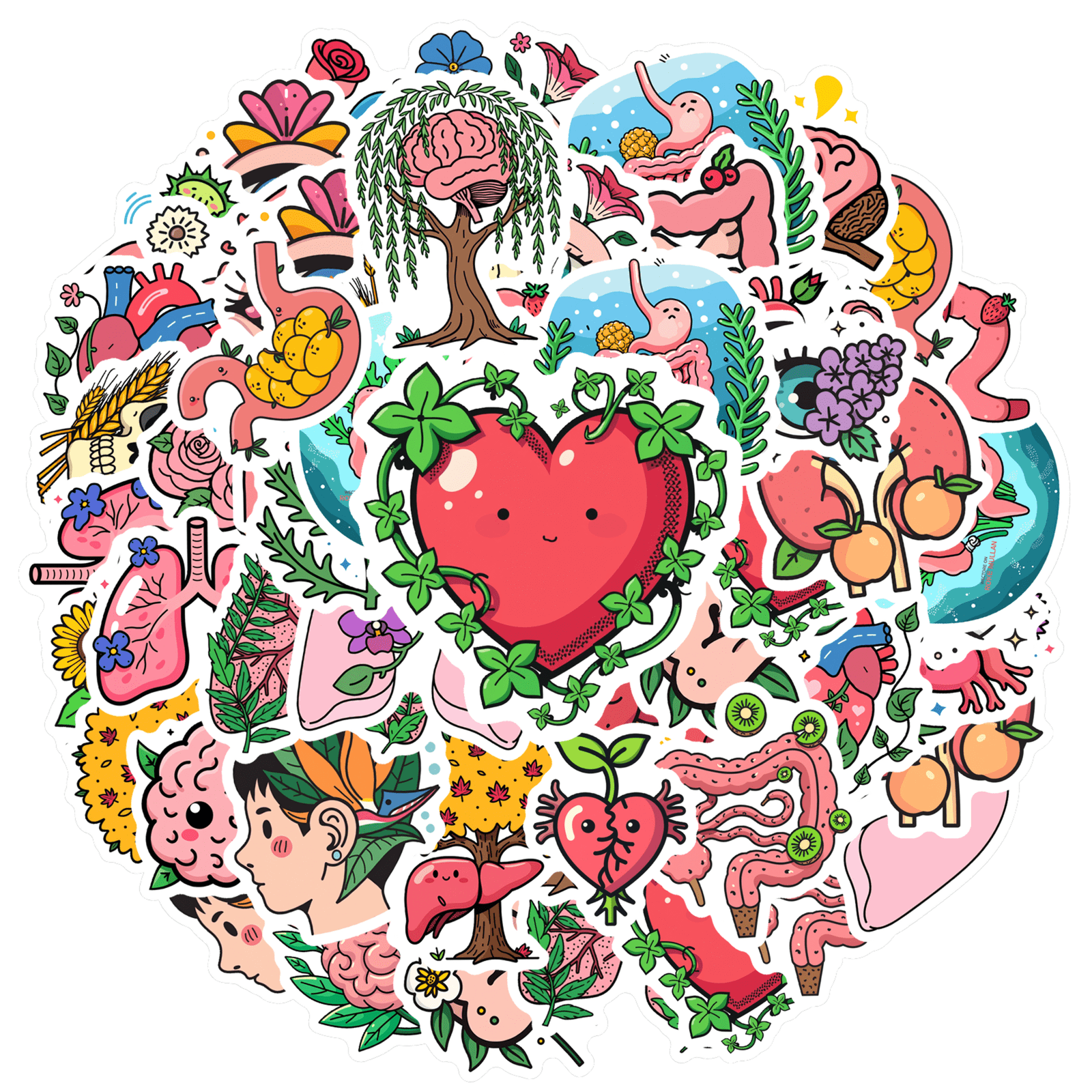 Organ Stickers Stationery Cartoon Stickers Teacher Reward Stickers for ...