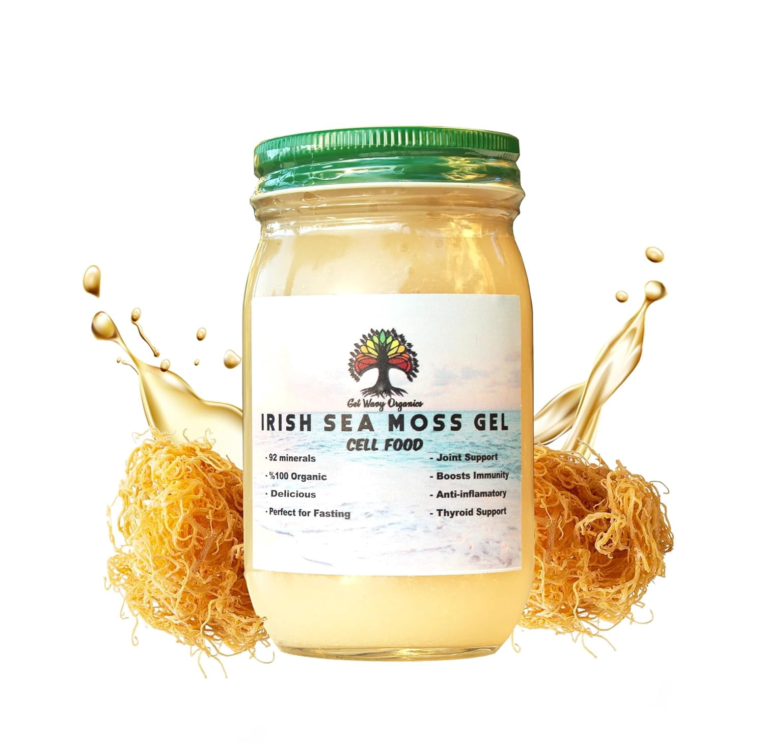 Organic 100% Wildcrafted Irish Sea Moss Gel 16 oz Gluten-Free Vegan, Non-GMO Super Cell Food ...