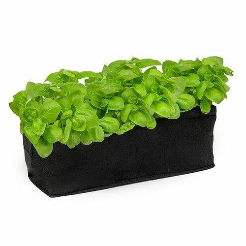 Organic Basil Herb Planter Kit - Walmart.com