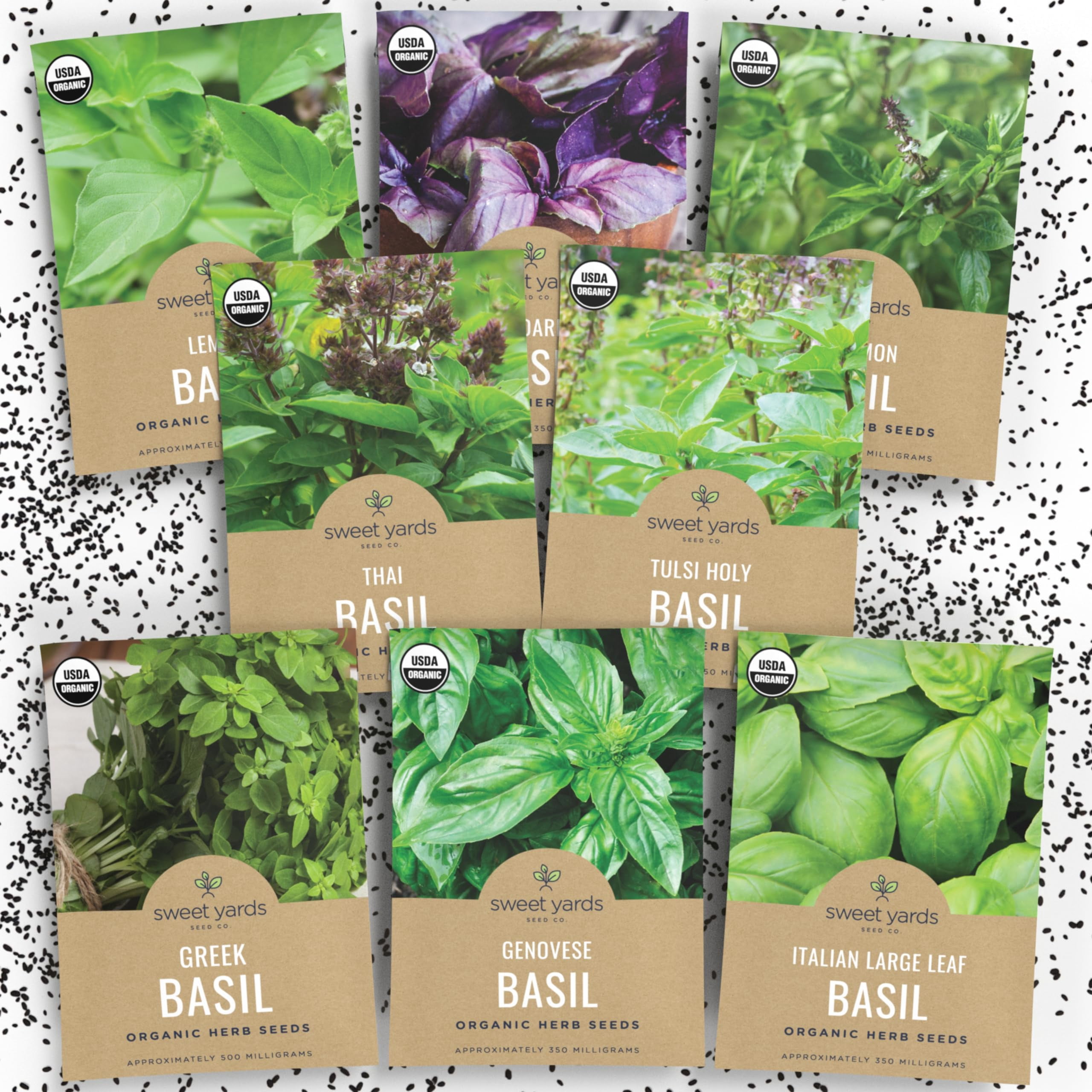 Organic Basil Seeds TWE5 Variety Pack - 8 Individual Packs - 2025 ...