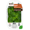 Organic Basil - Walmart.com