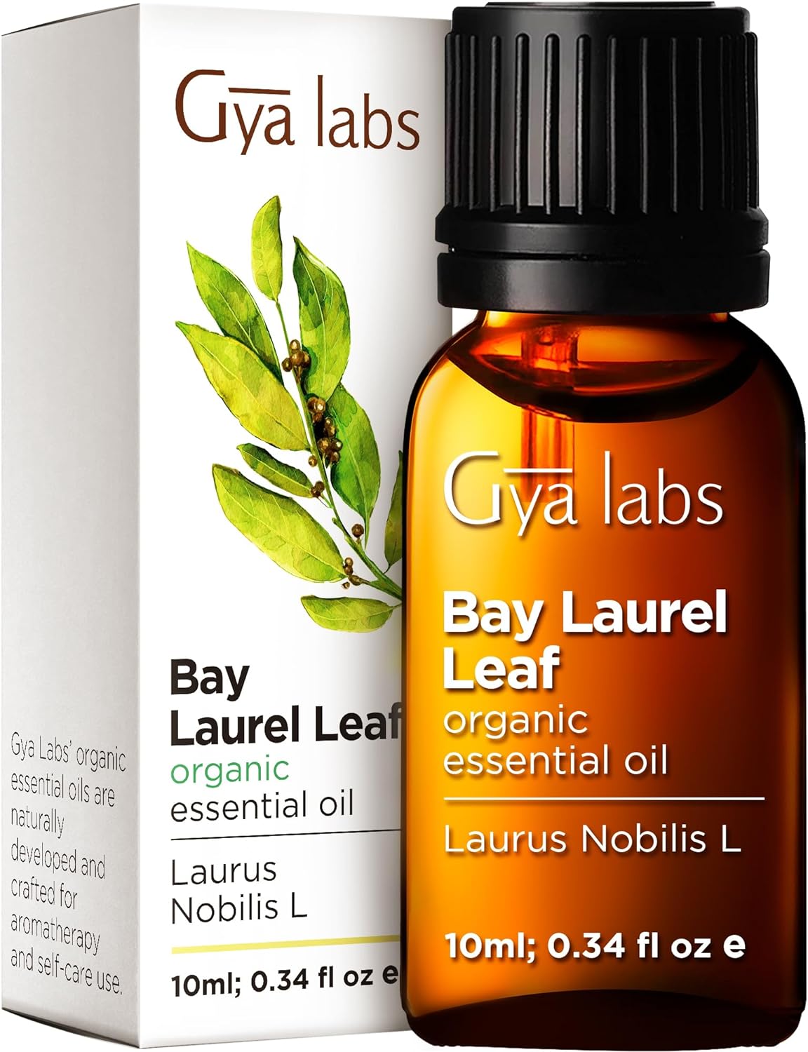 Organic Bay Leaf Essential Oil for Diffuser - Bay Leaf Oil Organic for Hair - Bay Laurel ...