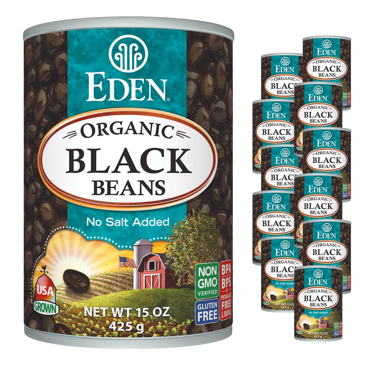 Organic Black Beans, 15 oz Can (12-Pack Case), No Salt Added, Non-GMO ...