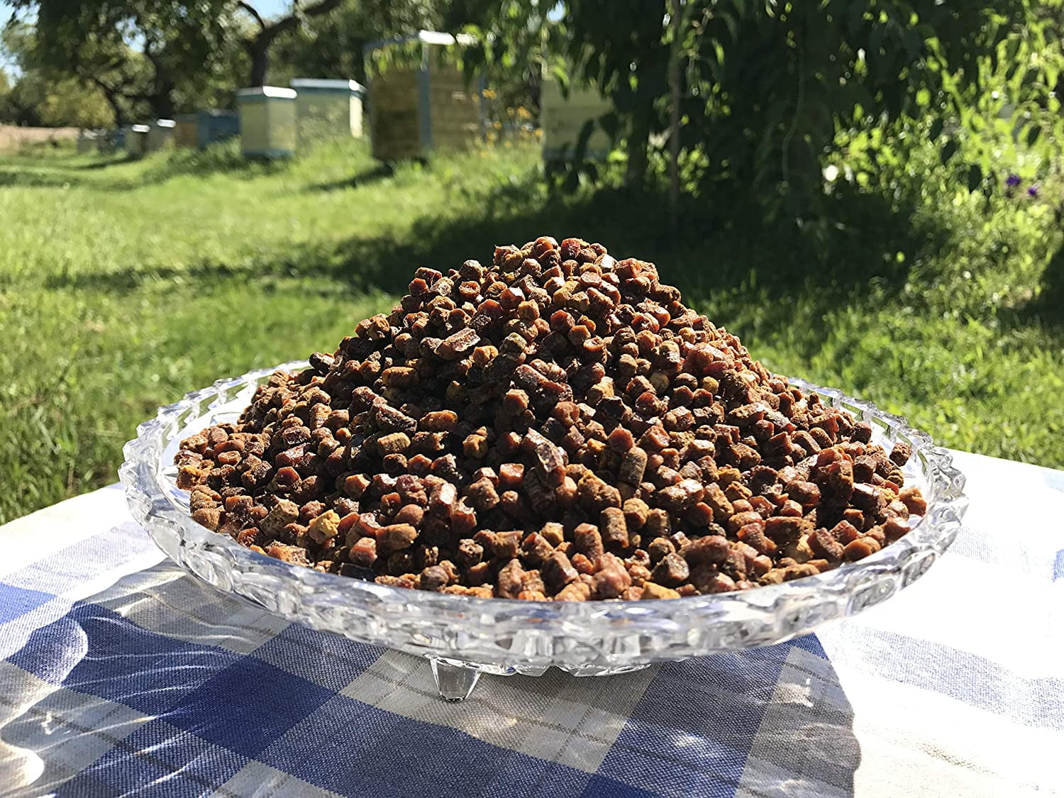 Organic Bread, Naturally Fermented Pollen, Perga, 1 Pound, 460g., 2021 ...