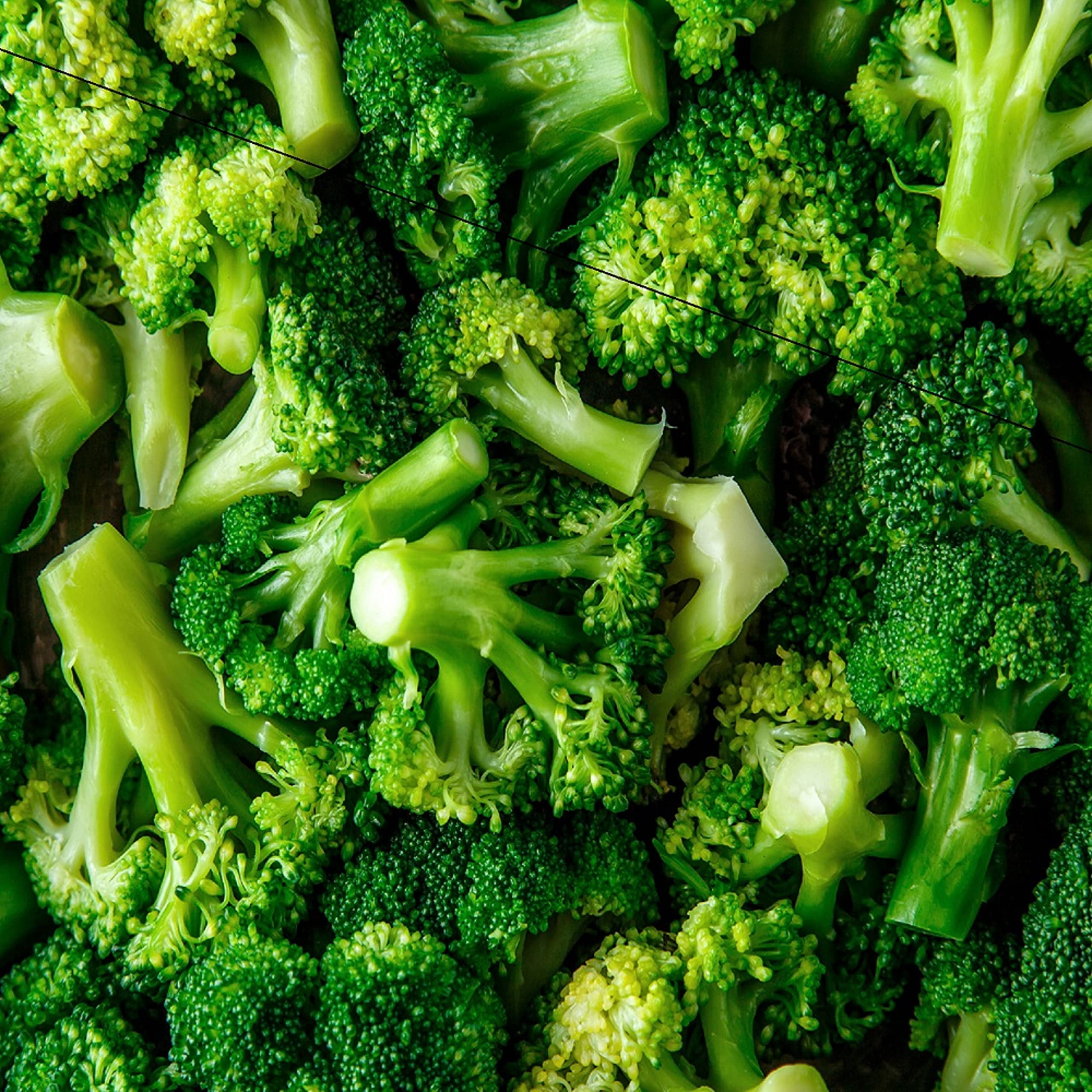 Organic Broccoli Seeds for Planting - MVR1 250 Heirloom Non GMO Seeds ...