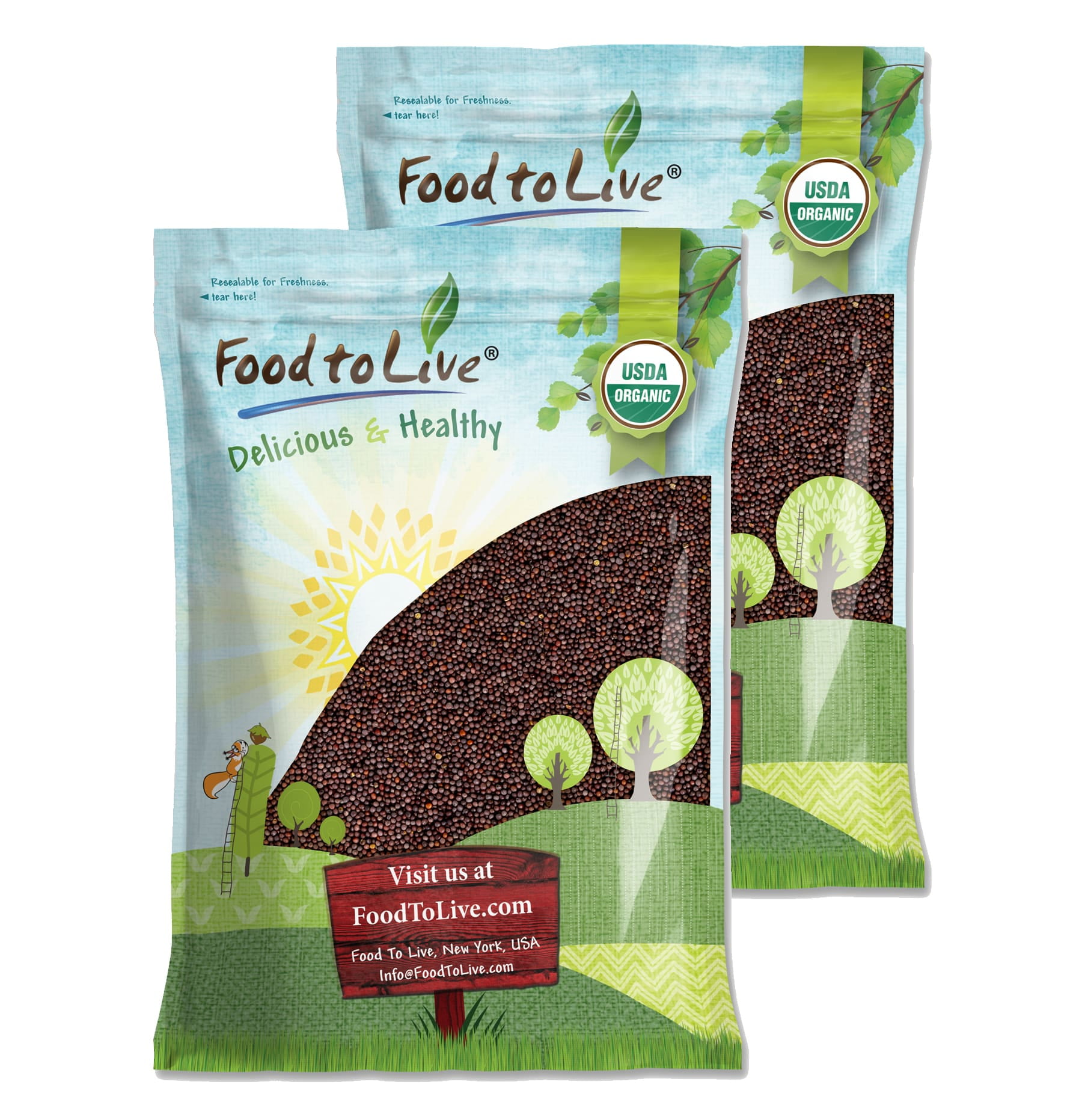 Organic Brown Mustard Seeds, 20 Pounds - Non-GMO. Great for Sprouting ...