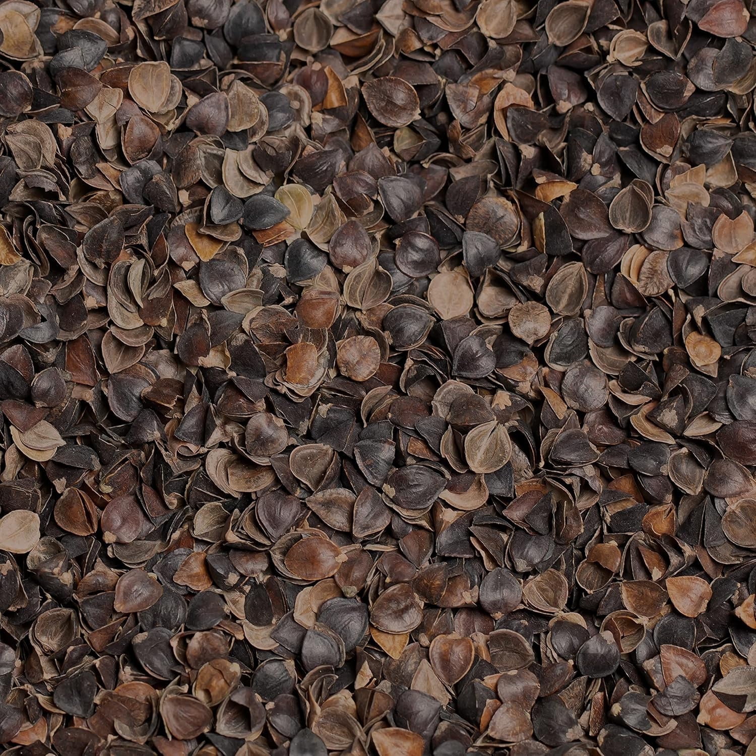 Organic Buckwheat Hulls Filler for Pillows, Yoga Zafus, and Cushions ...