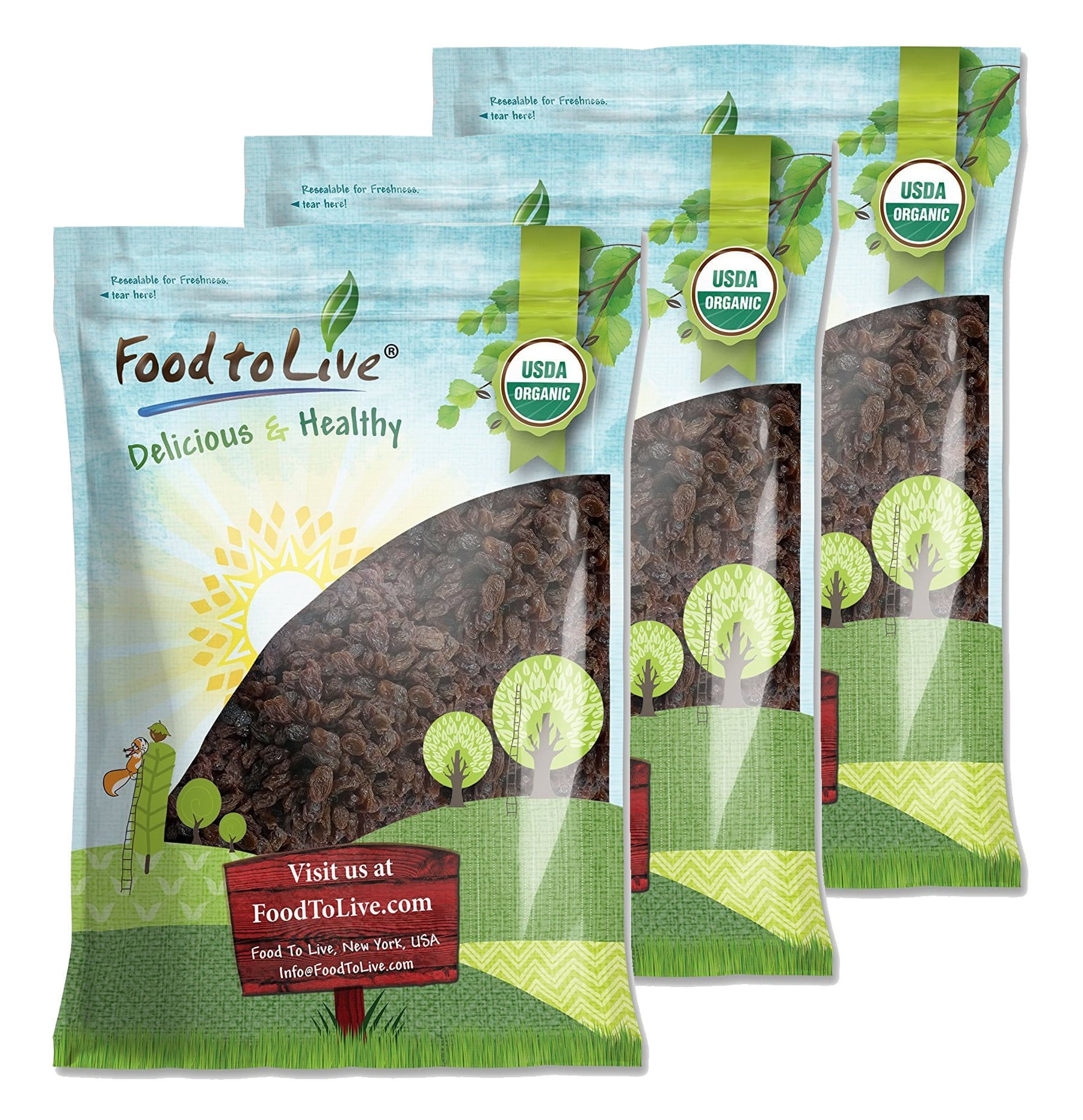 Organic California Thompson Seedless Select Raisins, 30 Pounds — Non ...