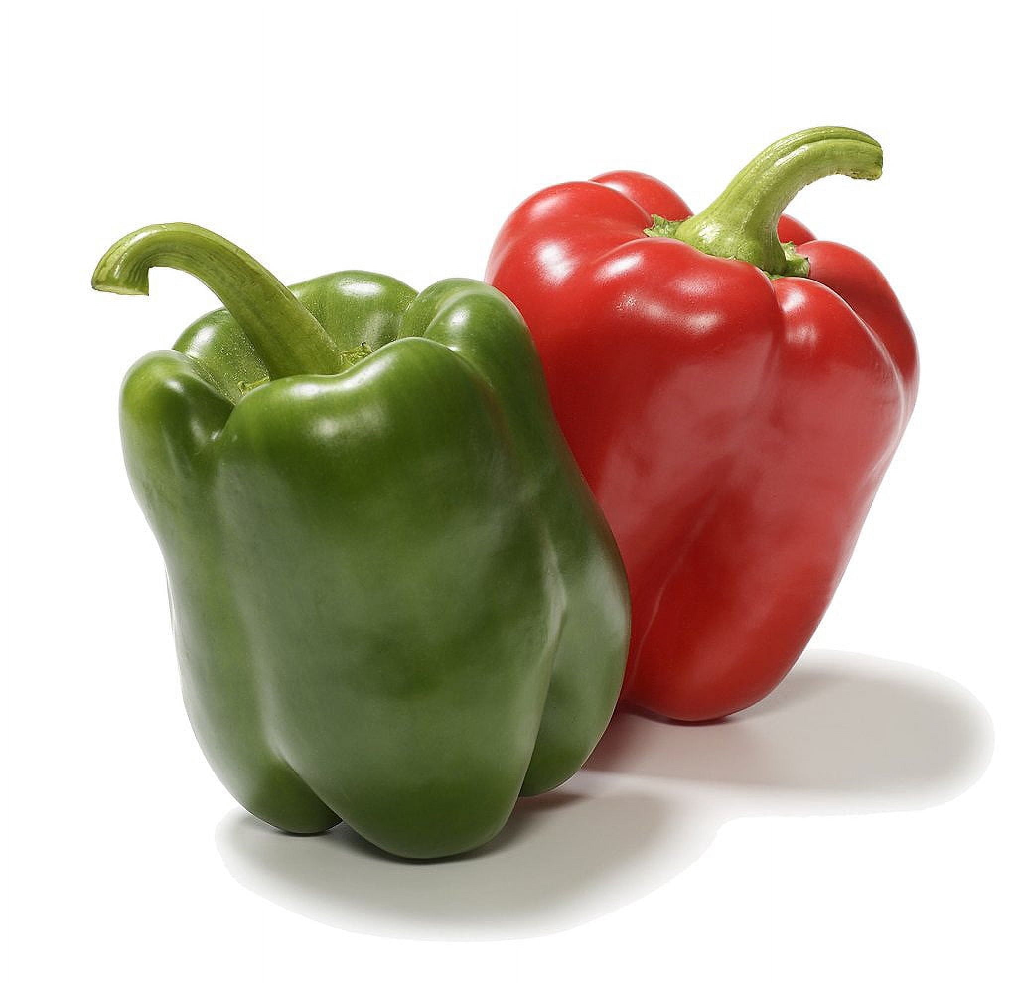Organic California Wonder Sweet Bell Pepper Plant - 4" Pot - No GMO's ...