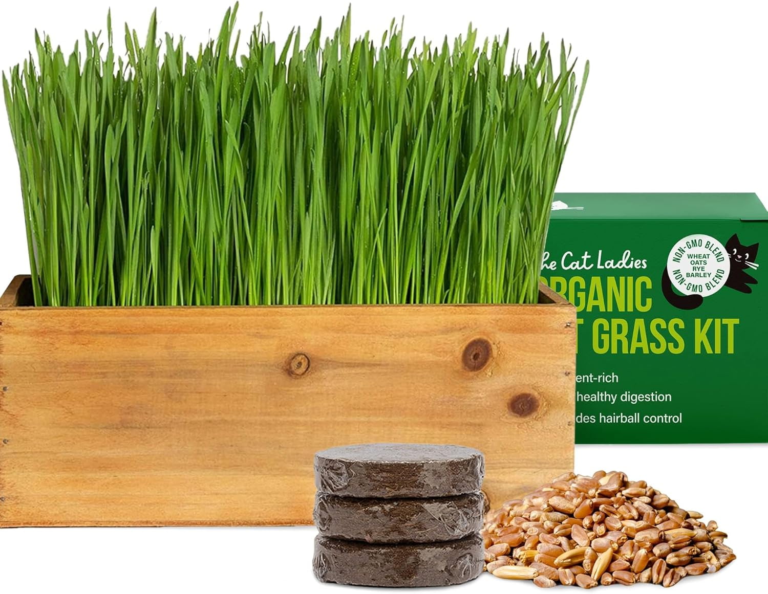 Organic Cat Grass Kit with Rustic Wood Planter, Includes Seed and Soil ...