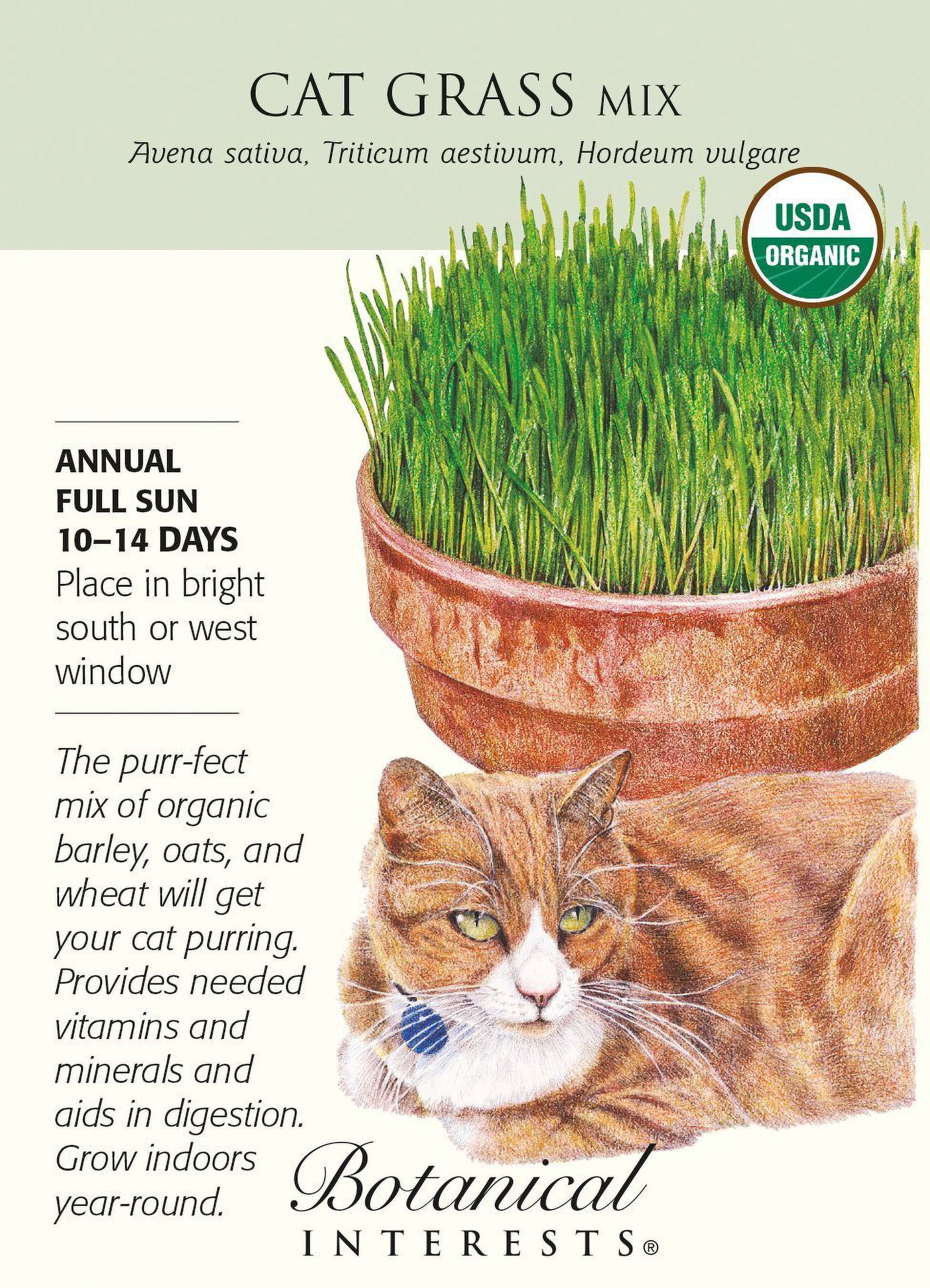 Hirt's Gardens Cat Grass Mix Seeds, 15g, Barley Oats Wheat Blend ...