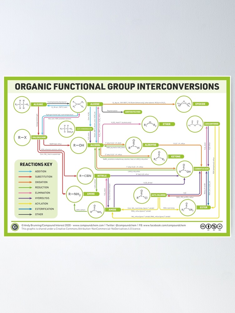 Organic Chemistry Reaction Map Poster - Walmart.com