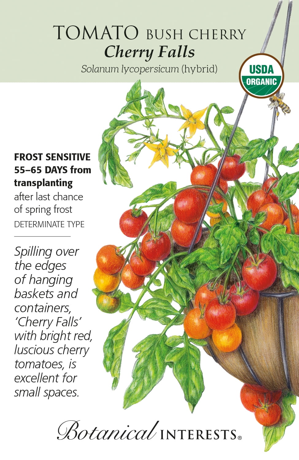 Organic Cherry Falls Tomato Seeds - 15 Planting Pack for Containers ...