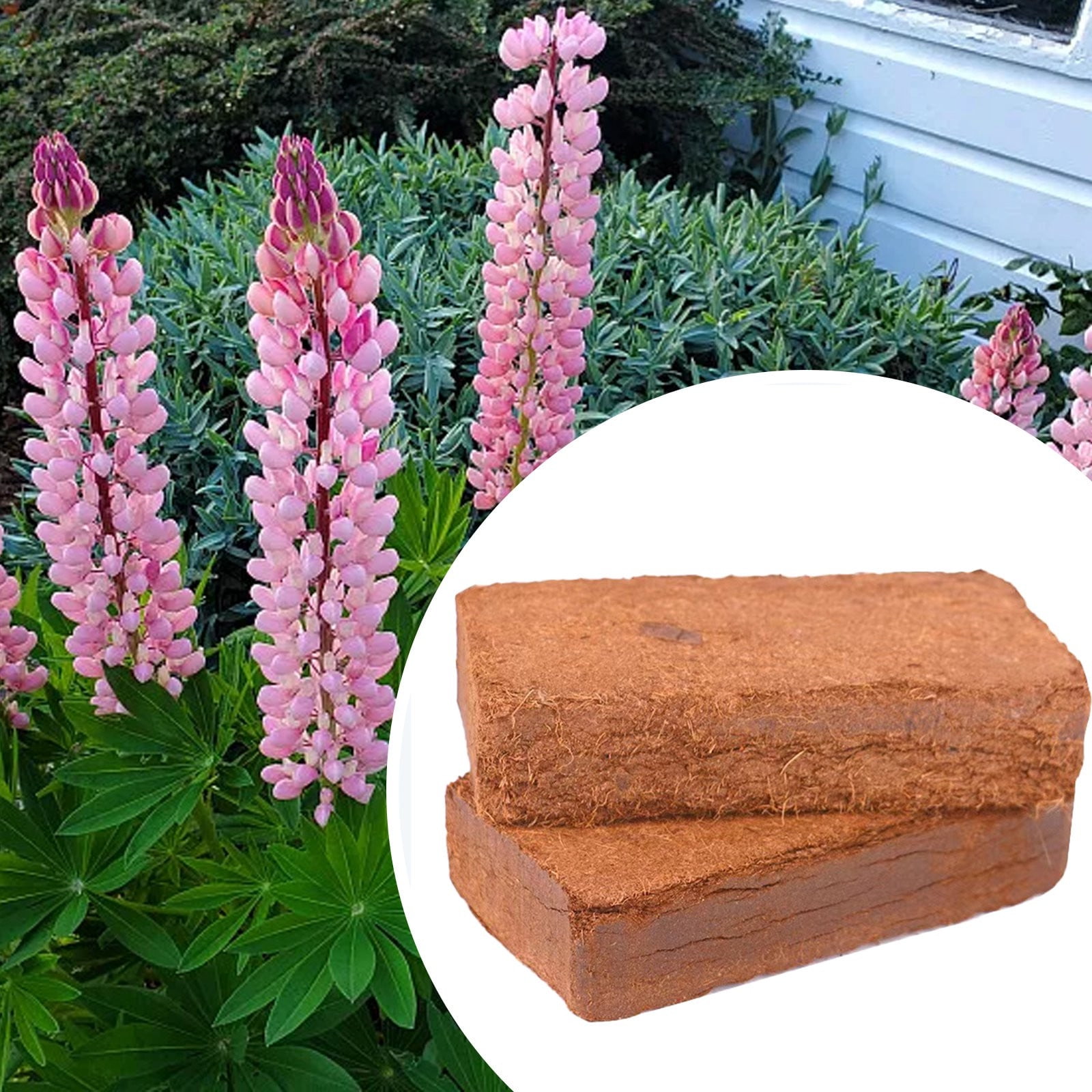 Organic Coco Coir Bricks Natural Compressed Coco Peat Brick Coconut ...