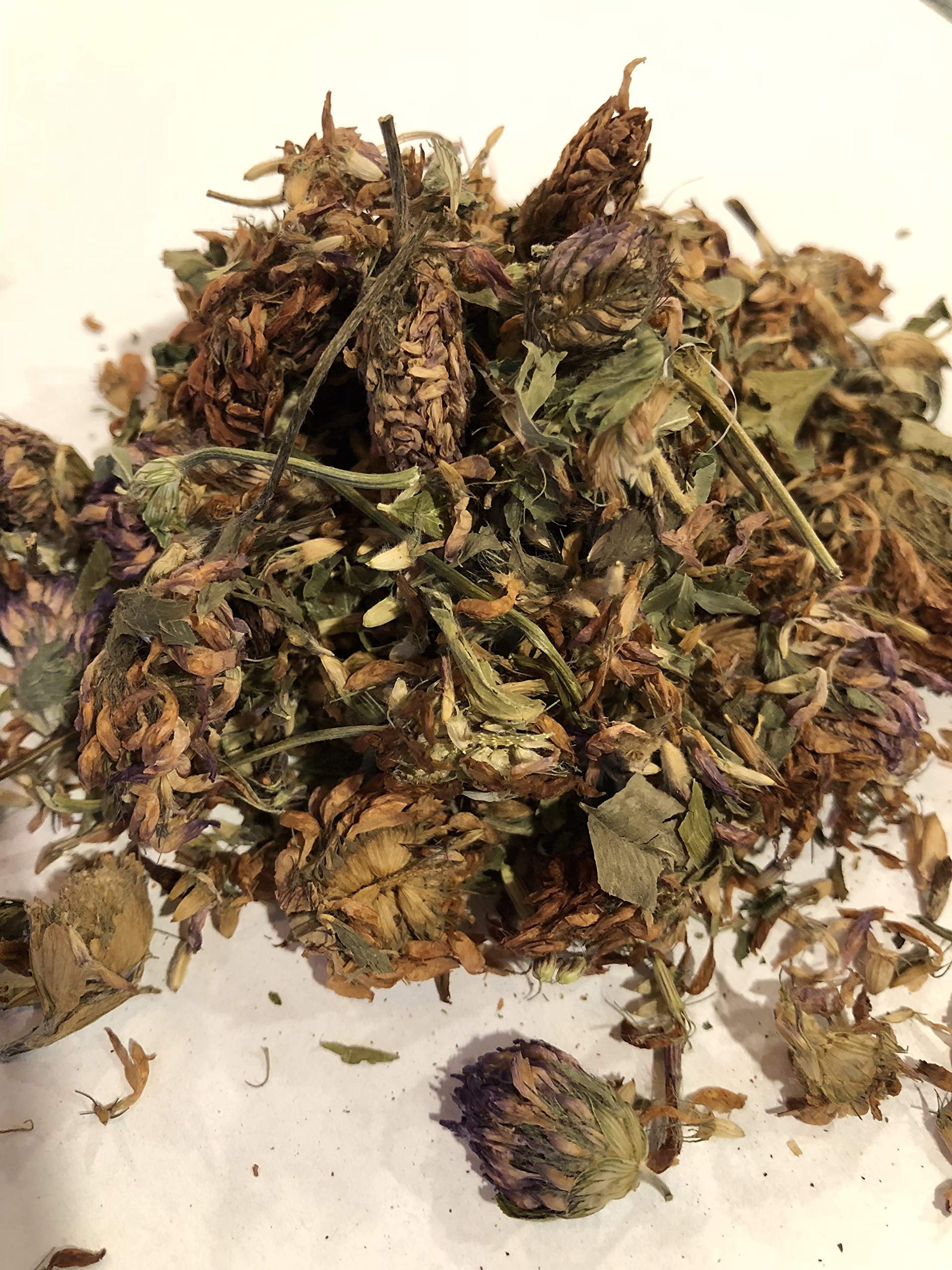 -Organic Dried Red Clover Flowers (Trifolium pratense) 6 Oz. - Walmart.com