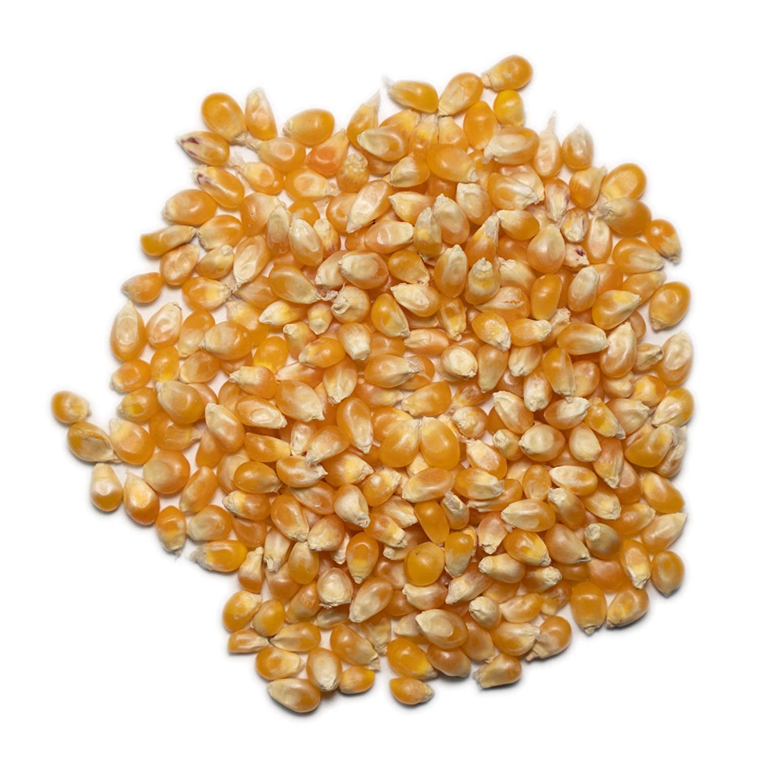 Organic Dry corn Kernels - Non-GMO, Healthy Snack for Microwave or ...