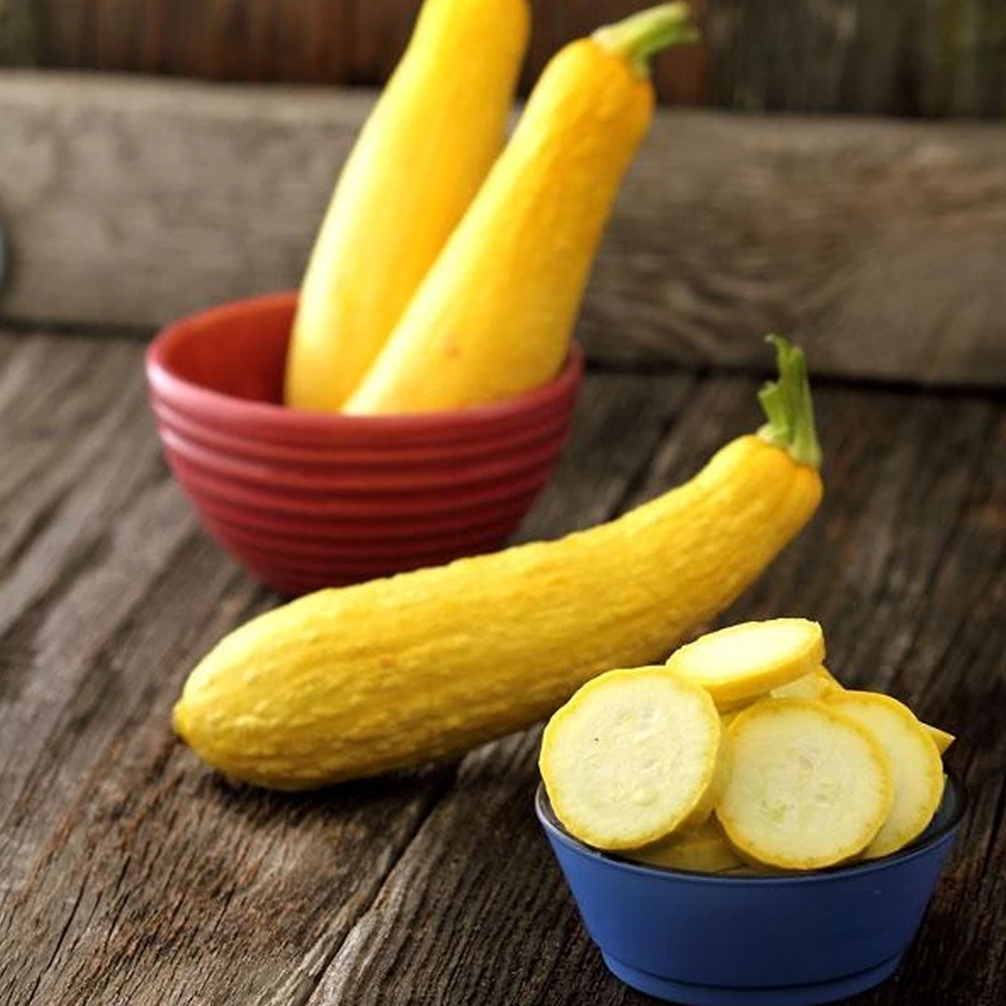 Organic Early Prolific Straightneck Squash - 1/4 LB ~650 Seeds - Non ...