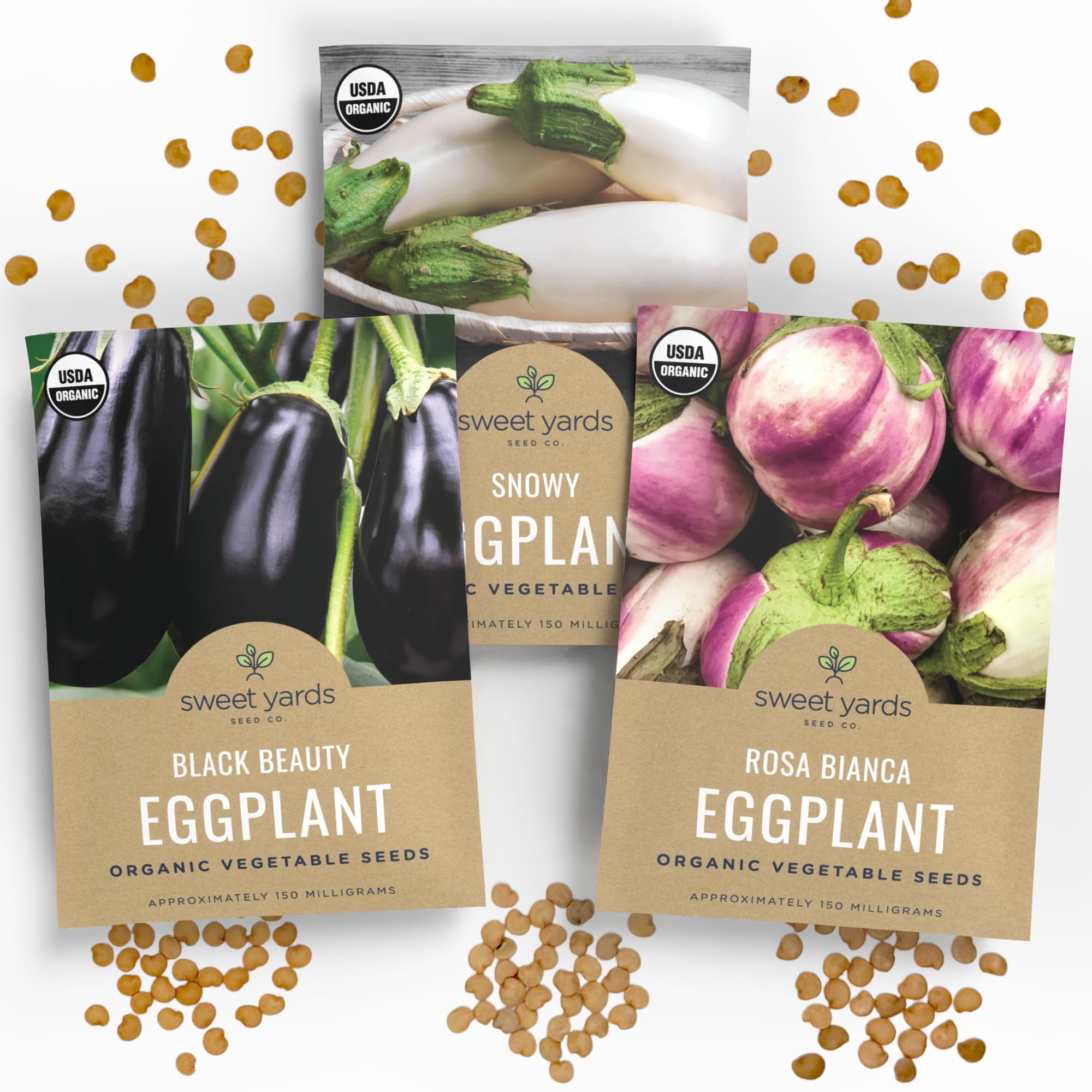 Organic Eggplant Seeds Variety Pack - MVR1 3 Individual Packs - 2025 ...