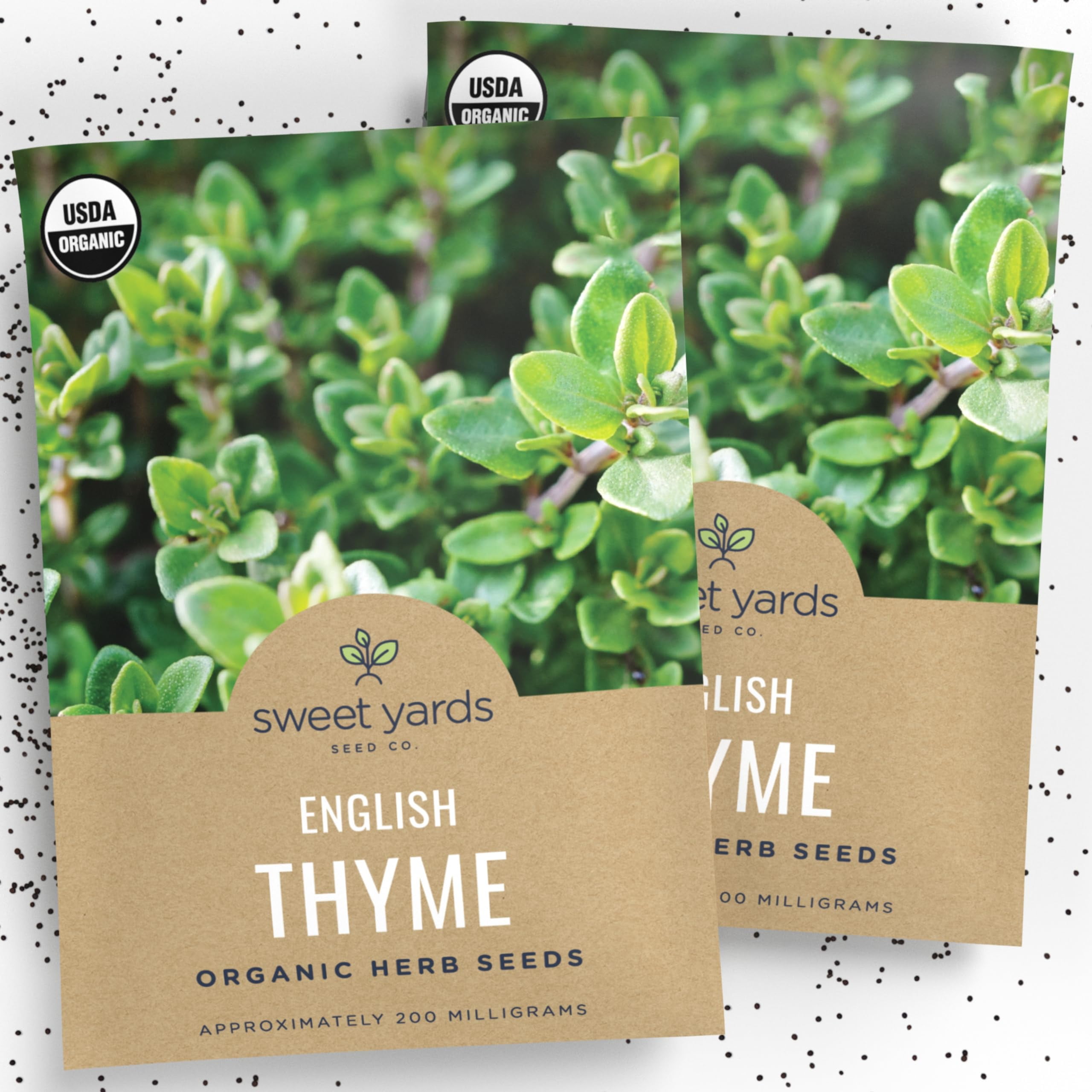 Organic English ThymeITSC Seeds - Two Seed Packets! - Over 1,400 Open ...