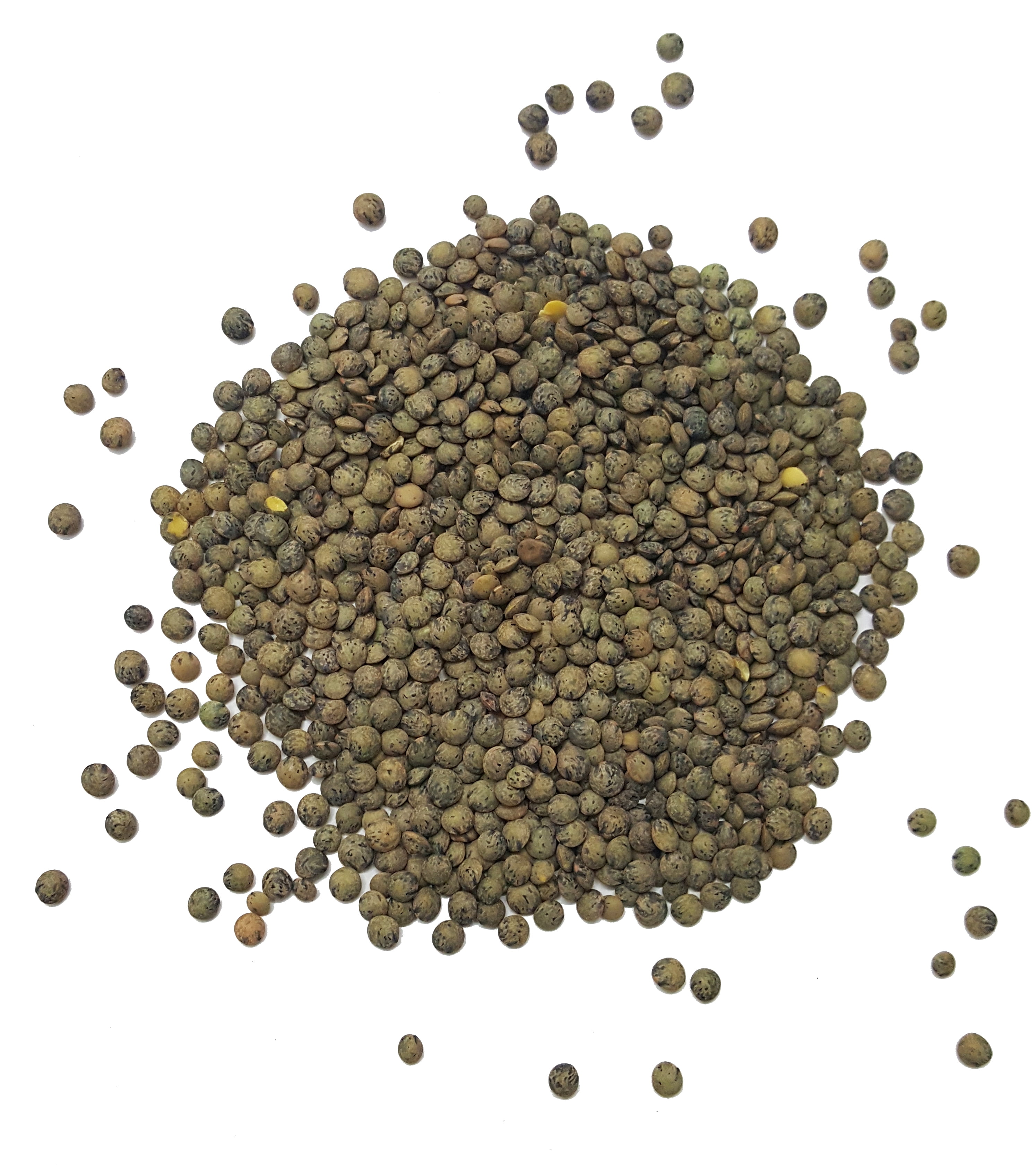 Organic French Green Lentils Whole Raw, High Fiber Non-GMO-Bulk (10LB ...
