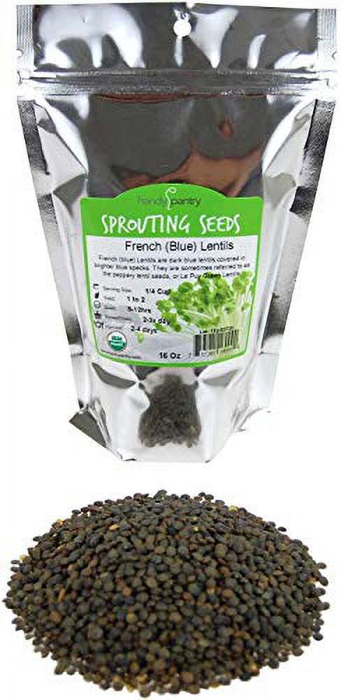 Organic French Lentil Sprouting Seeds - 1 Lb - French (Blue) Lentils - Perfect for Edible Seeds ...