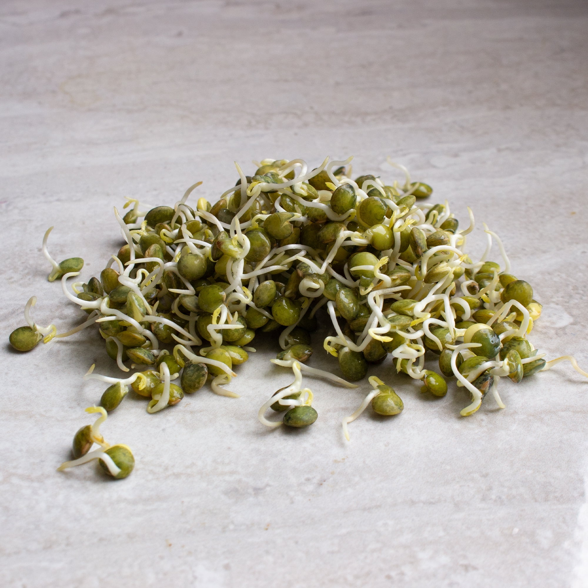 Organic French Lentil Sprouting 25 Lb ~375,000 Seeds – Lens culinaris ...