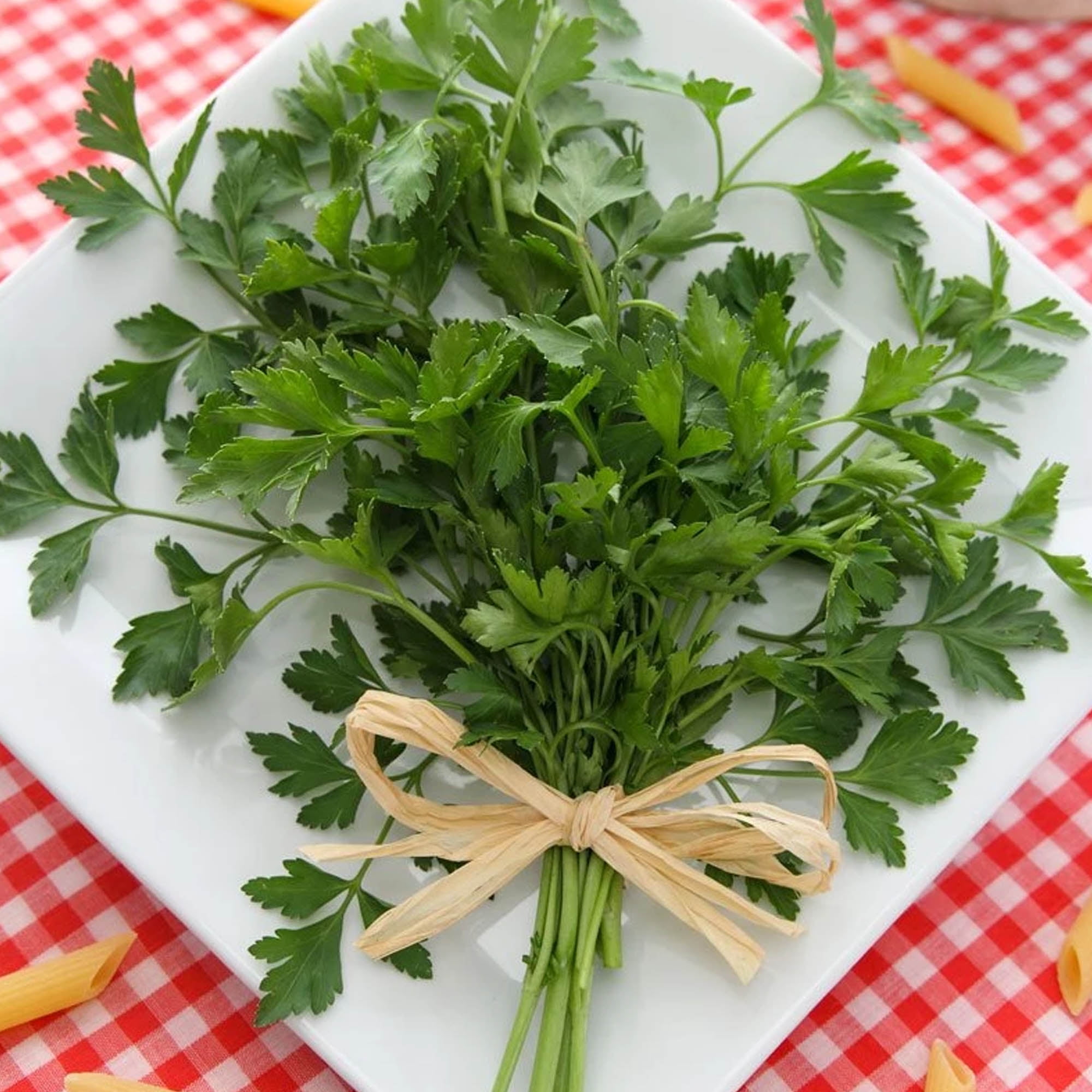 Organic Giant Italian Parsley - 1 OZ ~8,500 Seeds - Organic, Heirloom ...