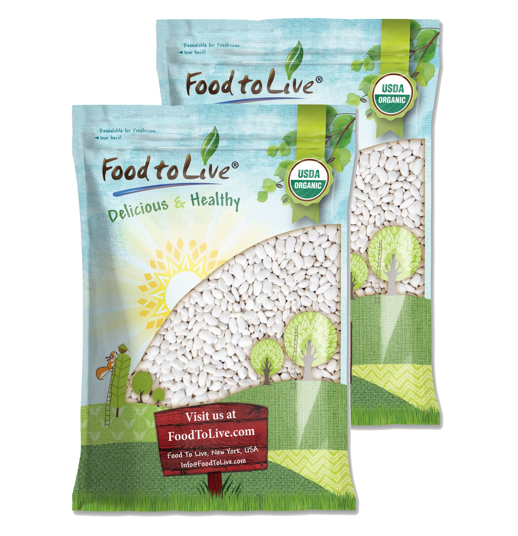 Hurst's Hambeens Great Northern Beans with Artificial Ham, 20 oz ...