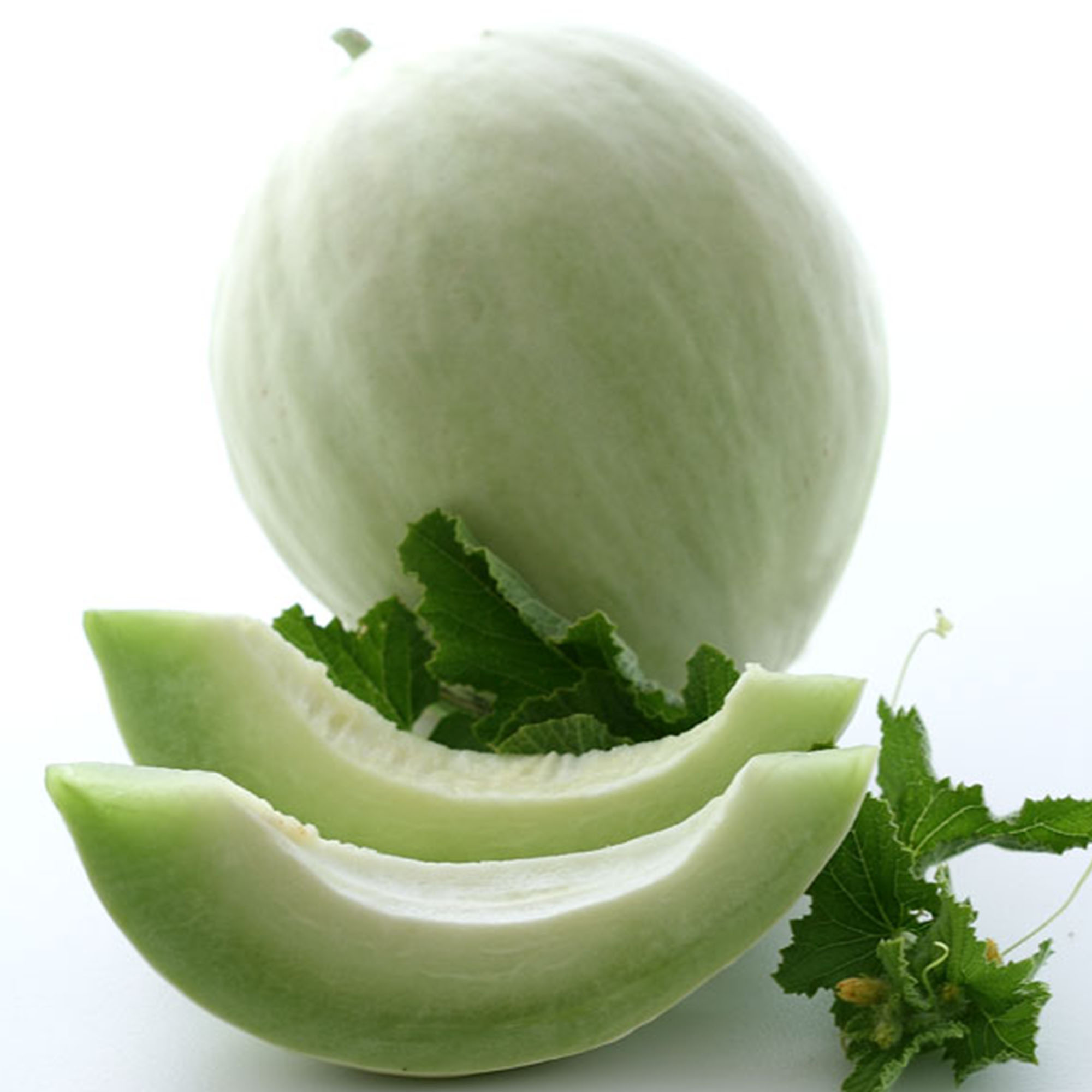 Honeydew Melon Garden Seeds - Green Flesh - 5 Gram Packet - Non-GMO ...