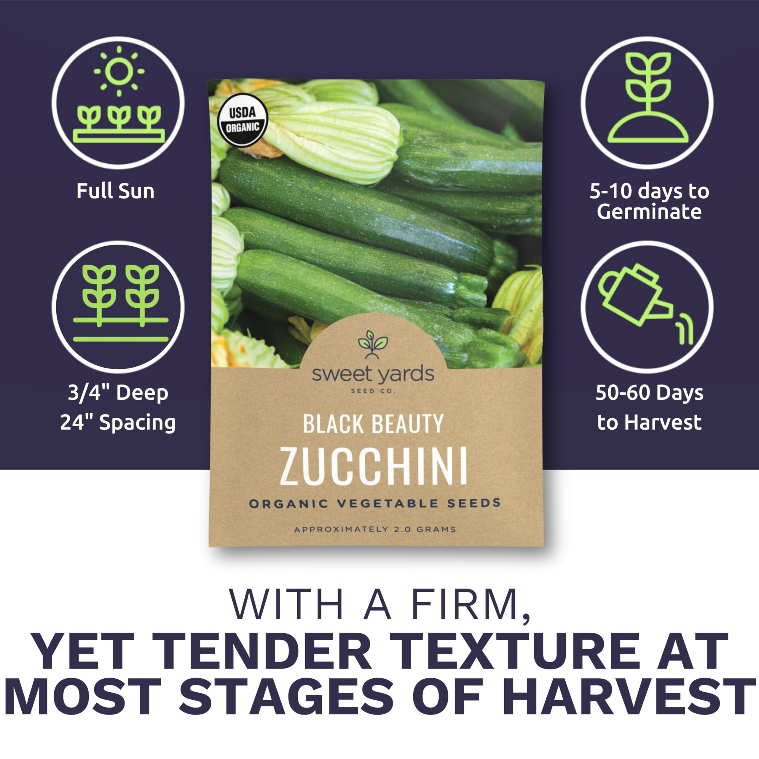 Organic Green Zucchini Seeds ‘Black Beauty’ - H2FSDTwo Seed Packets ...