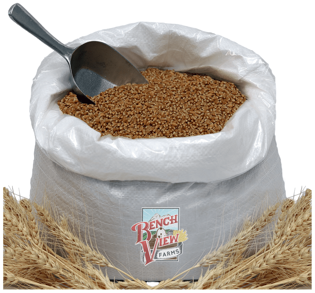 Organic Hard Red Wheat Berries - 24lbs - Walmart.com