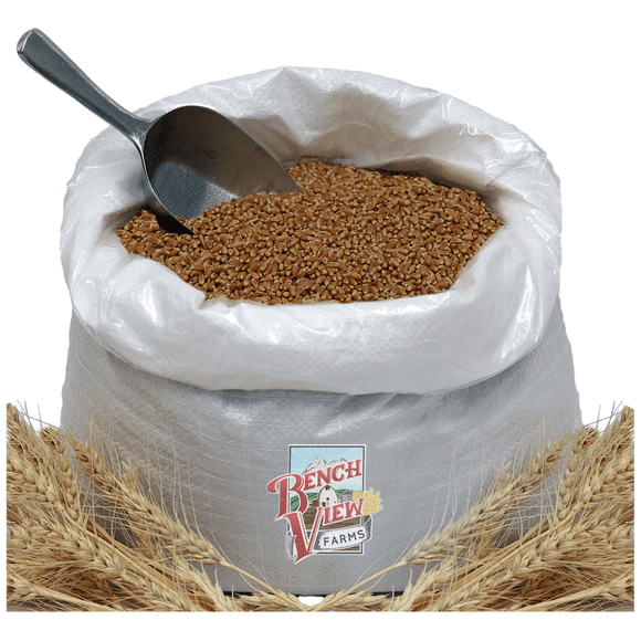Whole Wheat Berries