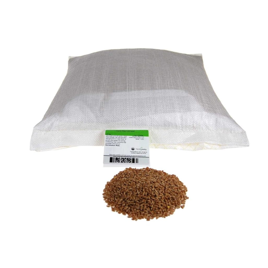 Organic Hard Red Wheat Seed: 25 Lb - ZXXP Brand - Grow Wheatgrass ...