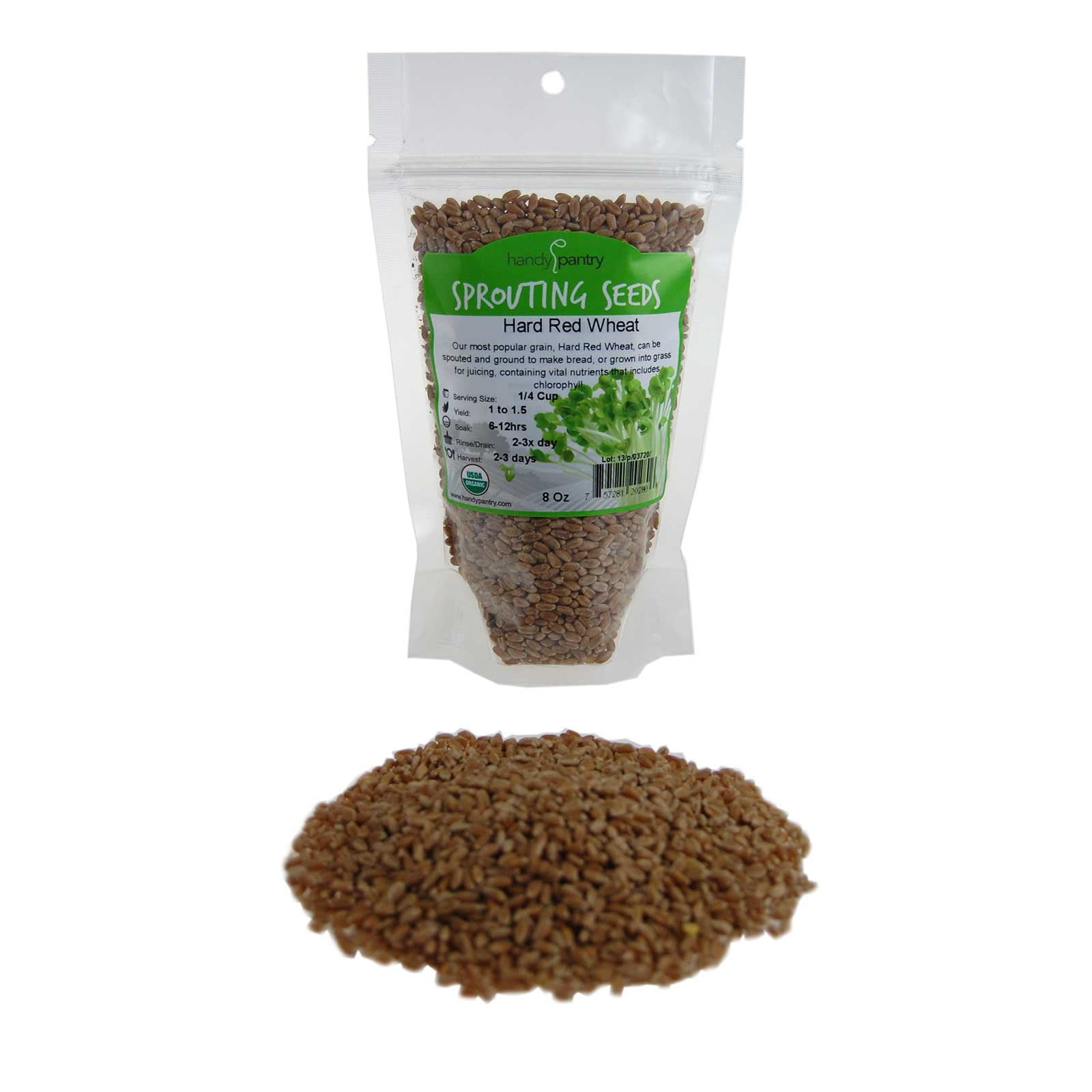 Organic Hard Red Wheat Seed: 8 Oz - Grow Wheatgrass, Ornamental Wheat ...
